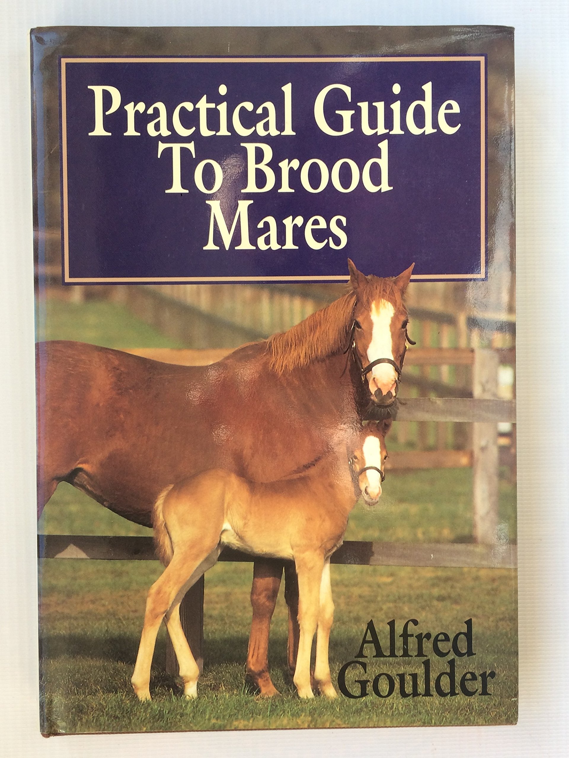Practical Guide to Brood Mares: Goulder, Alfred: 9781853104800: Amazon ...