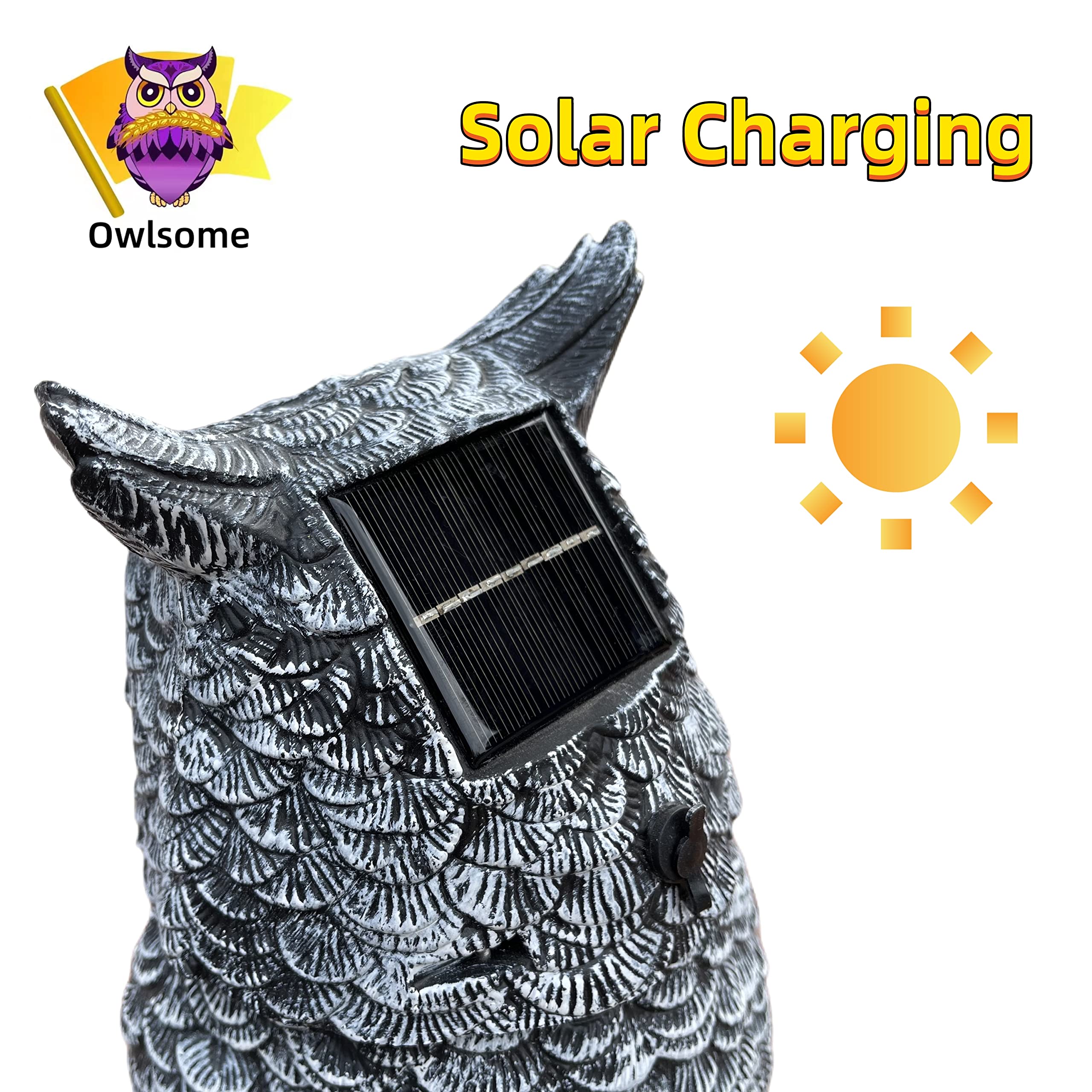 Owlsome Solar Snow Owl with Flashing Eyes, Rotating Head, Hoot Sound ...