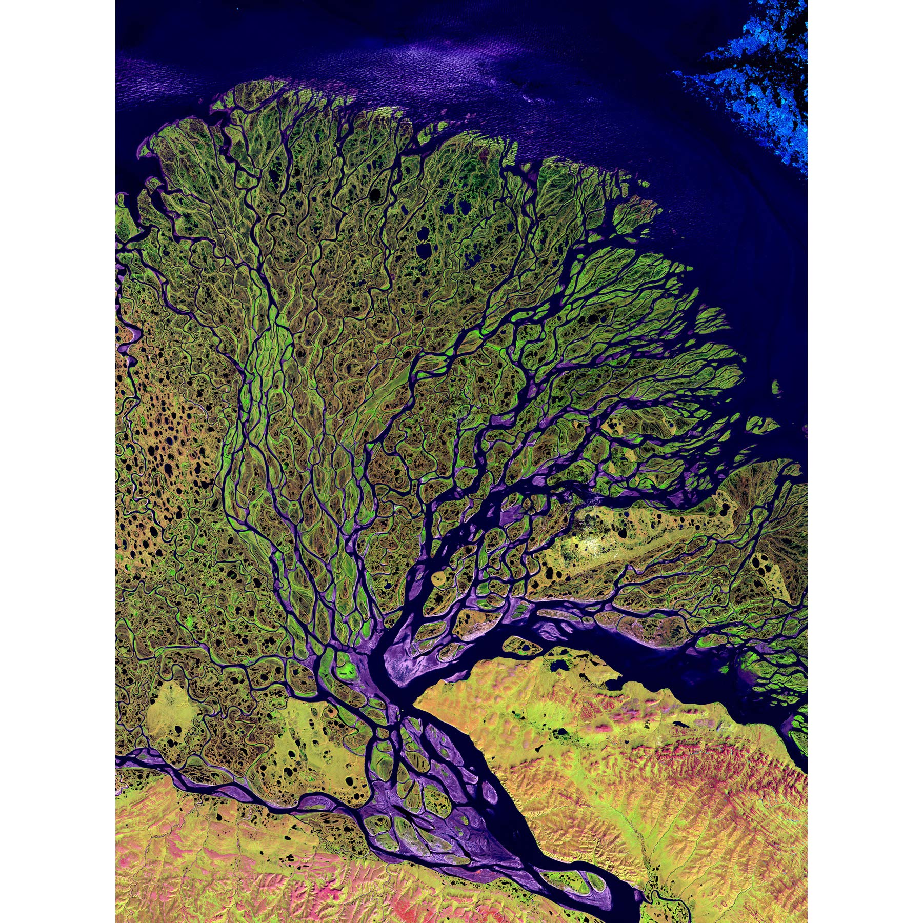 Lena River Delta