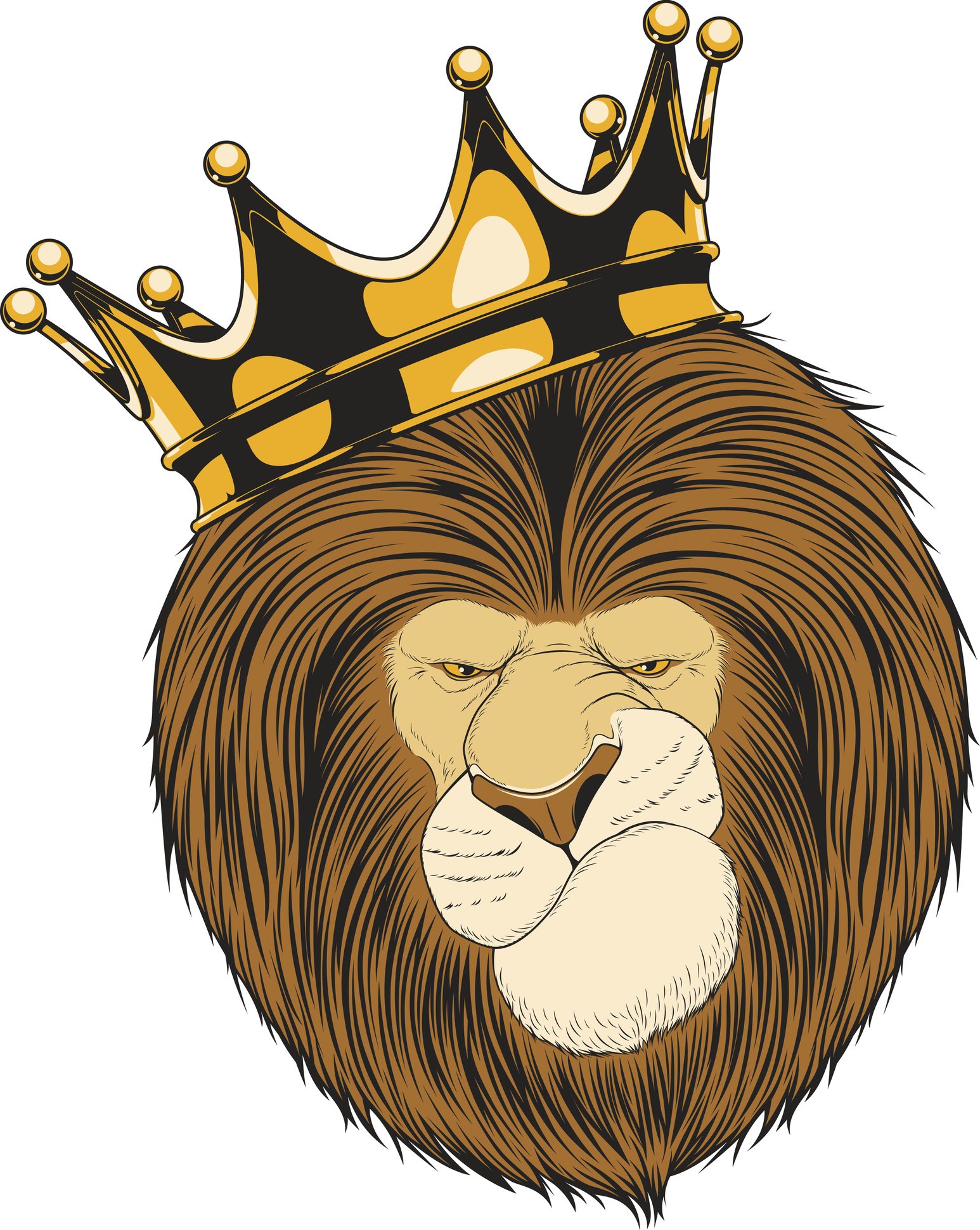 Mean Cartoon Lion Face