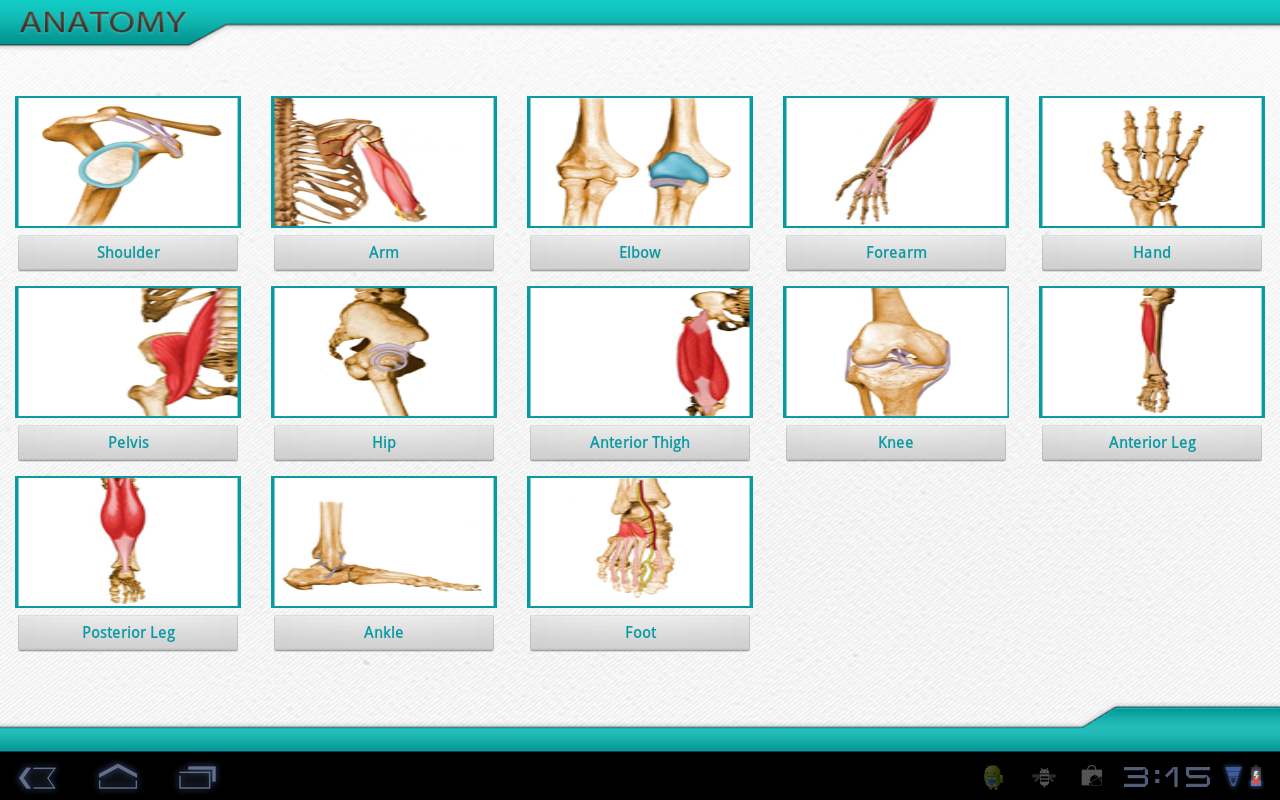 Muscles: Quick Reference: app su Amazon Appstore