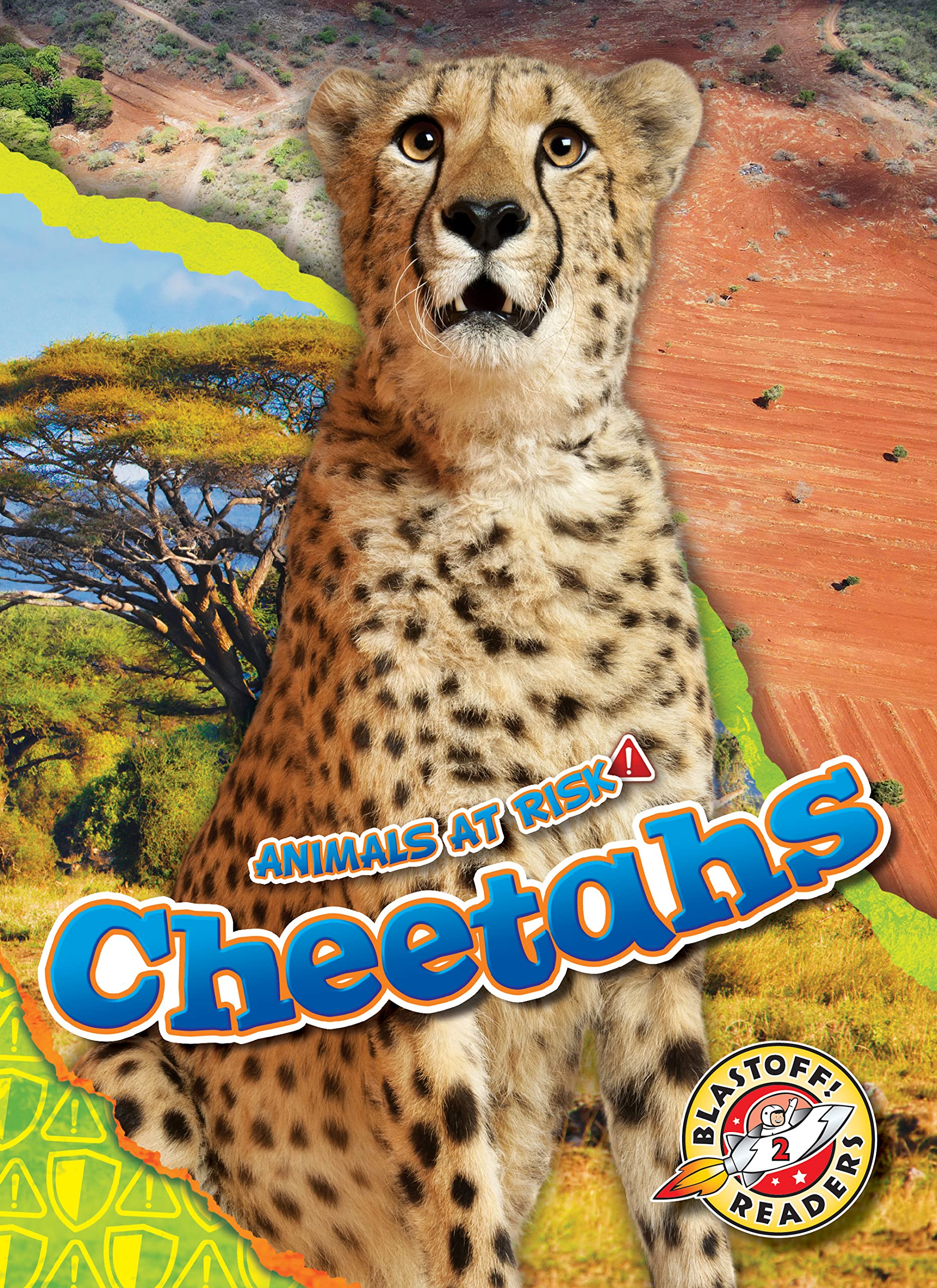 Cheetahs (Animals at Risk! Blastoff! Readers, Level 2): Rachel Grack ...
