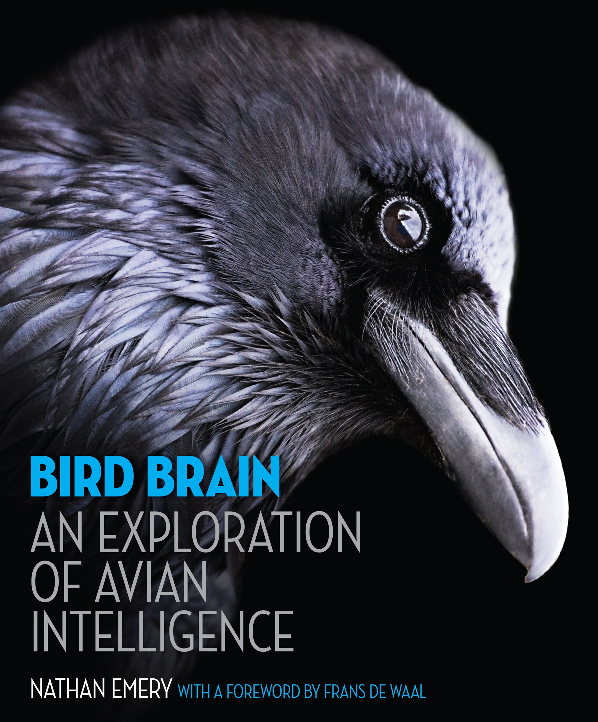 Bird Brain: An Exploration of Avian Intelligence: Emery, Nathan, de ...