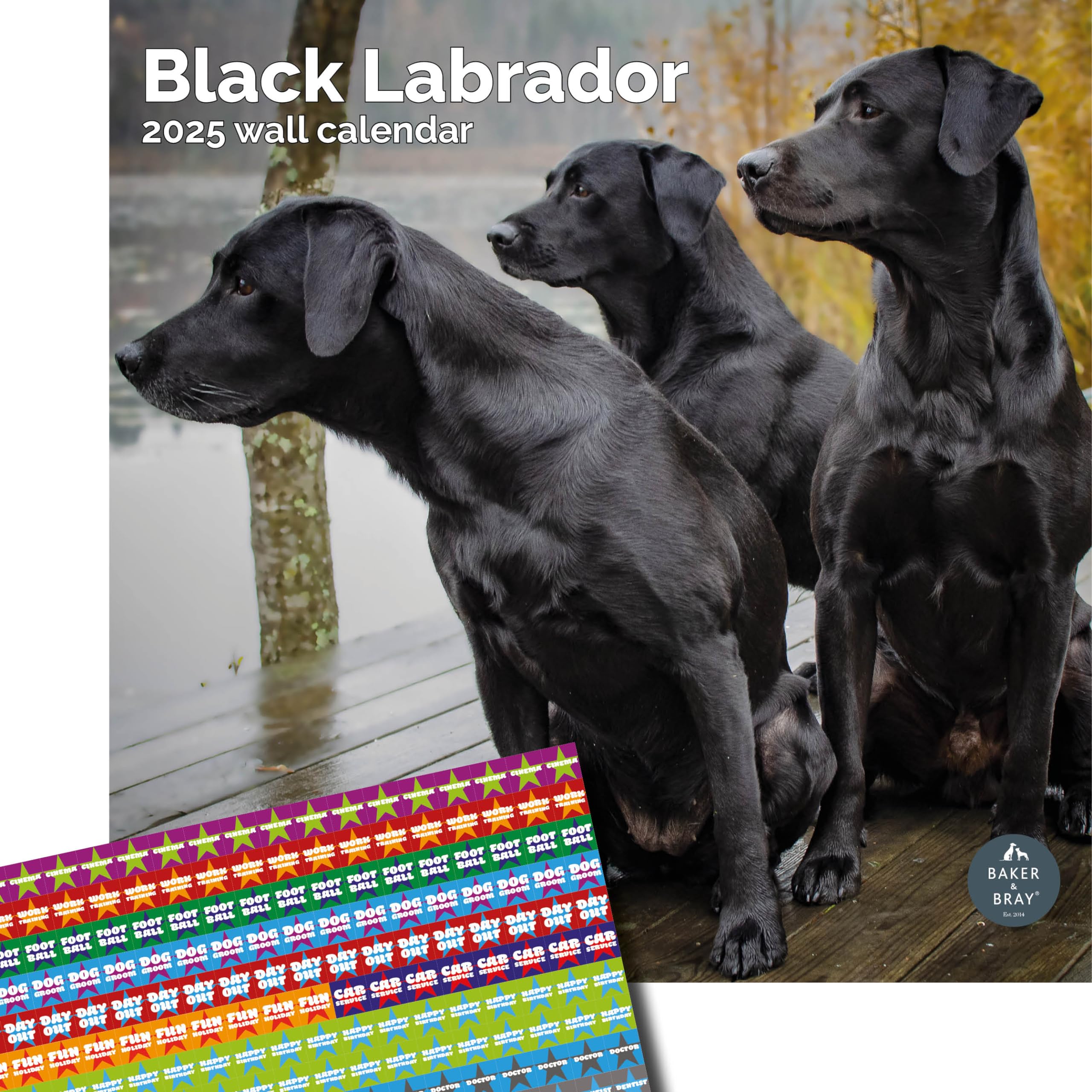 Baker and Bray Black Labrador Calendar 2025, Large Square Wall Calendar ...