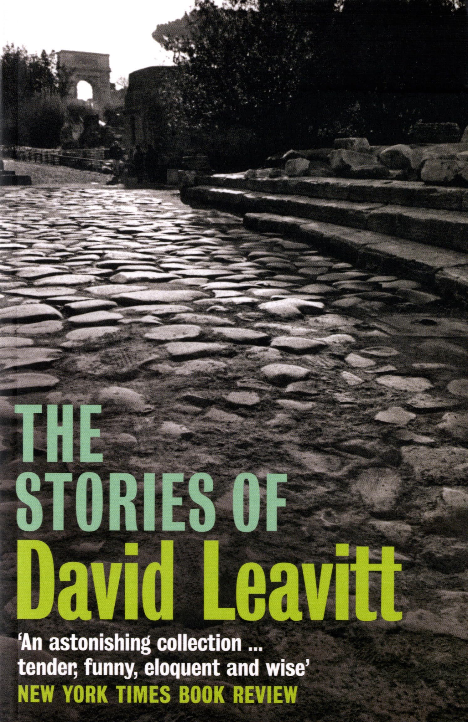The Stories of David Leavitt: david-leavitt: 9780747574033: Amazon.com ...