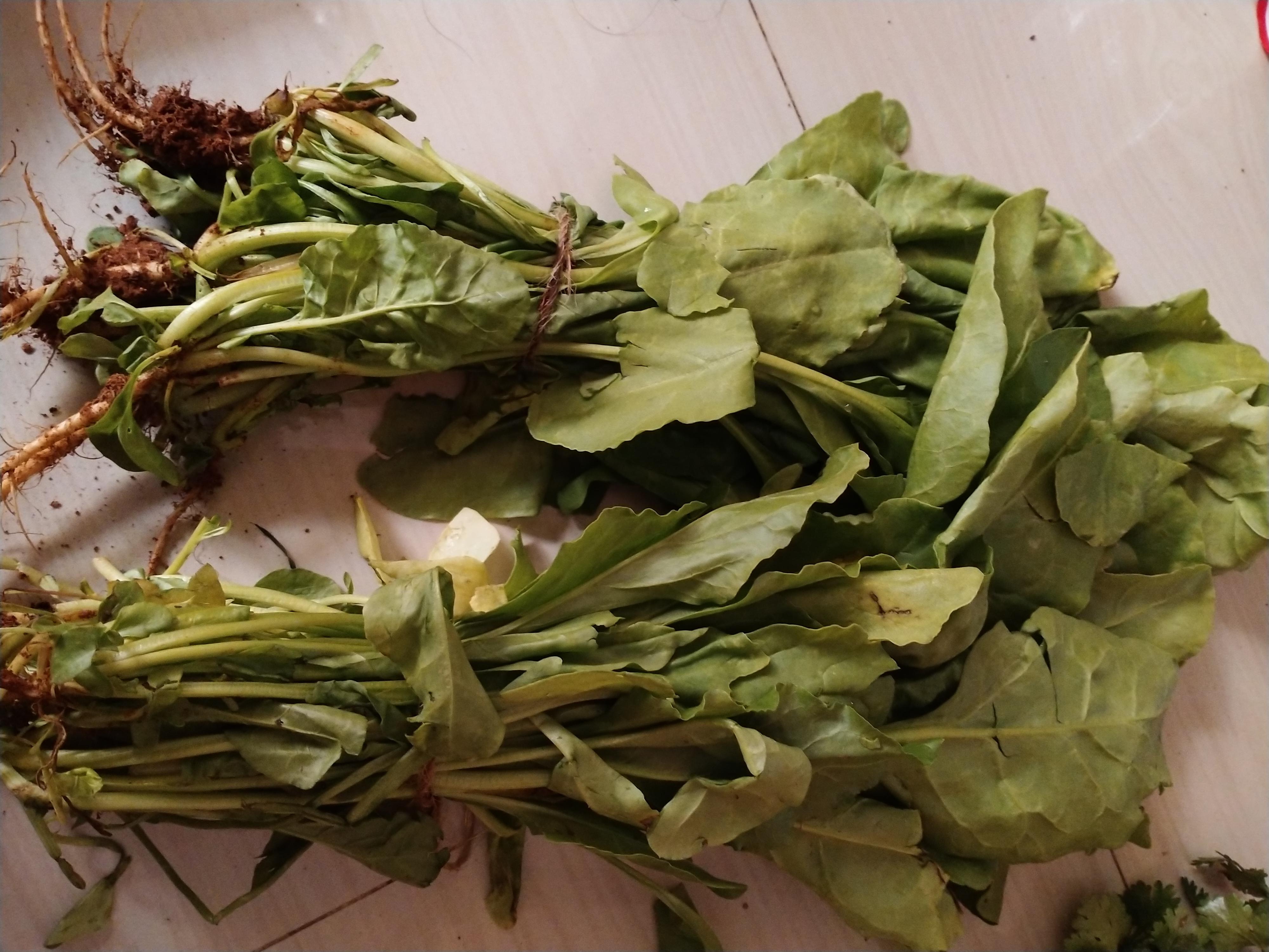 Fresh Produce Spinach/Palak Leaves 1 Bunch (180g - 200 g) : Amazon.in ...