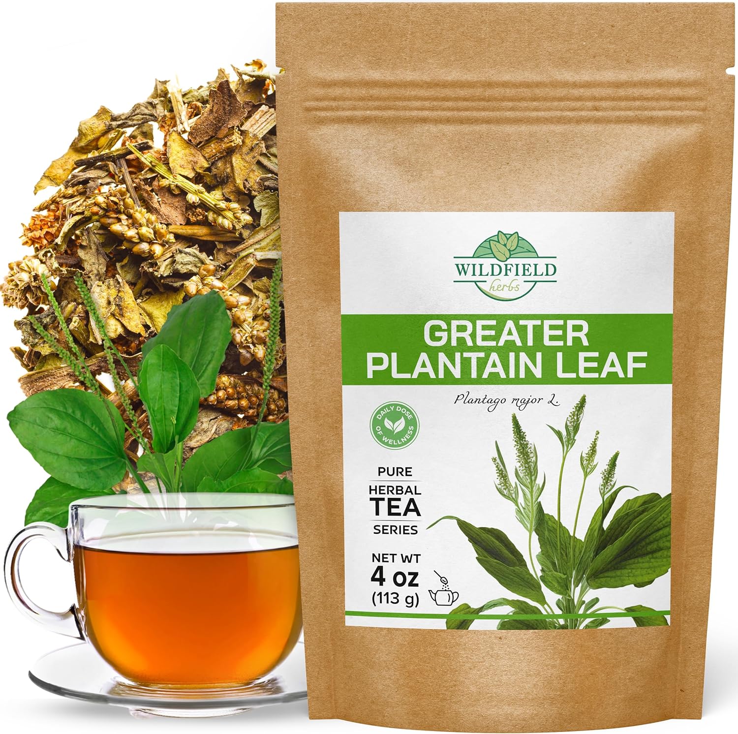Amazon.com: WILDFIELD HERBS 4 oz. Plantain Leaf Herb Tea Dried ...