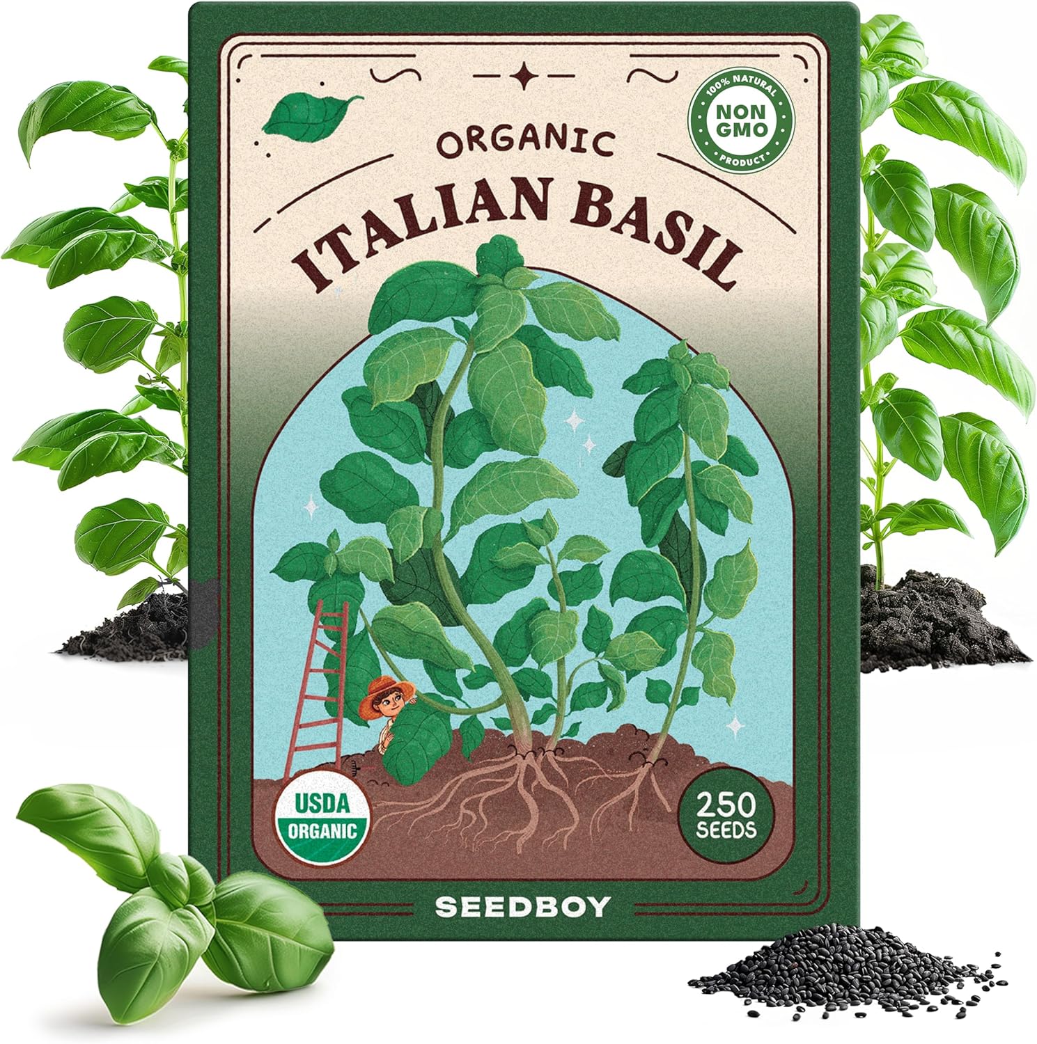 Amazon.com : Seedboy Organic Basil Herb Seeds for Indoor Gardening or ...