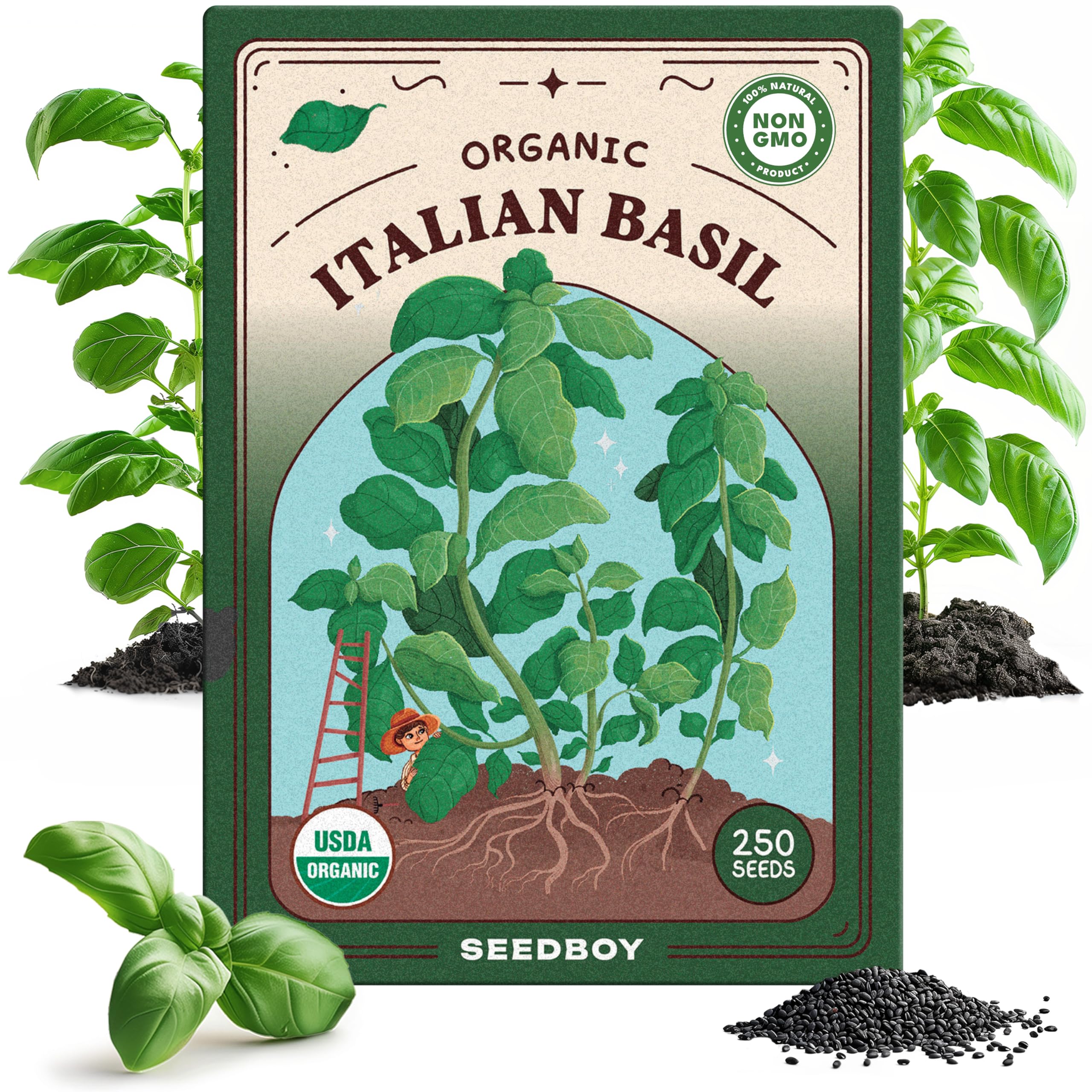Amazon.com : Seedboy Organic Basil Herb Seeds for Indoor Gardening or ...