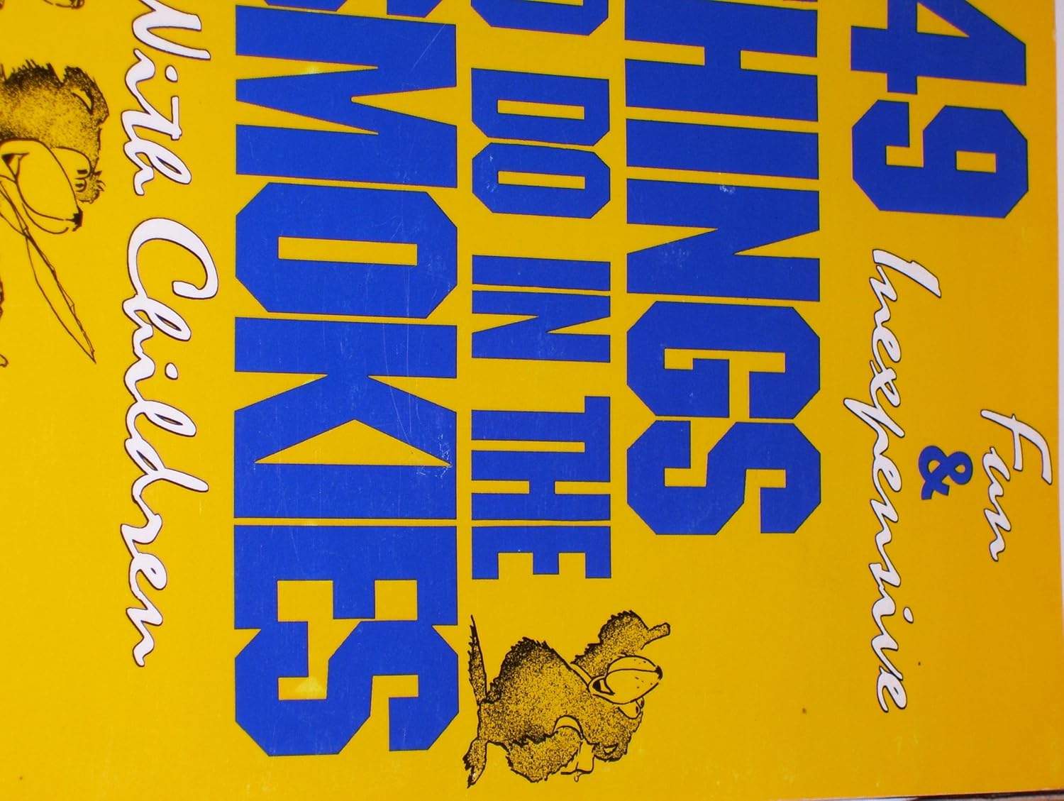 Forty-Nine Fun & Inexpensive Things to Do in the Smokies With Children ...