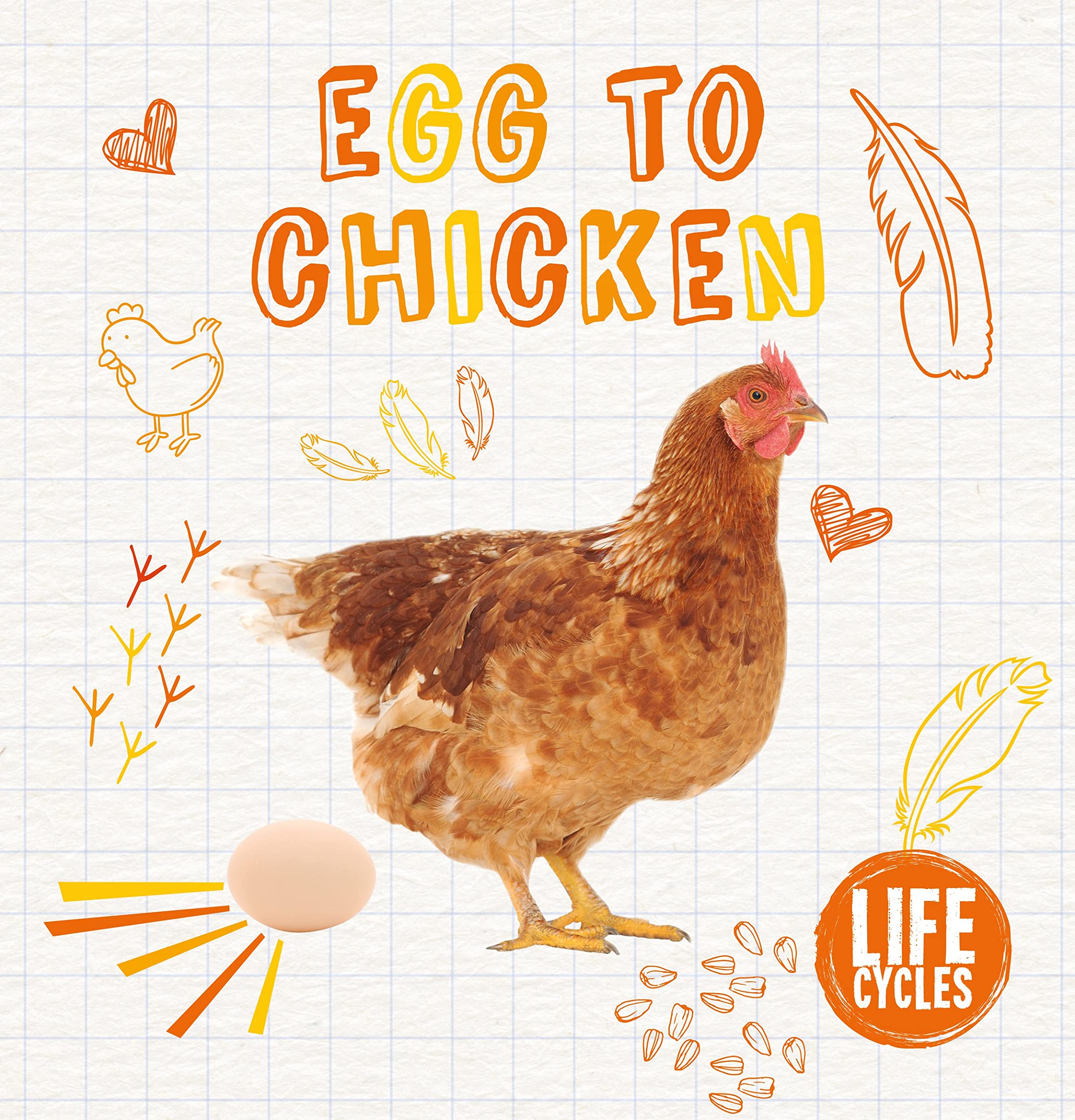 Egg to Chicken (Life Cycles): Jones, Grace: 9781786371454: Amazon.com ...