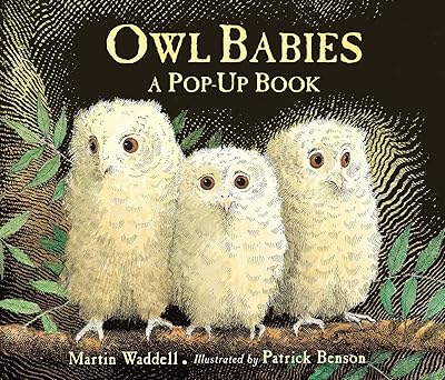 Owl Babies: Martin Waddell, Patrick Benson: 9781406352344: Amazon.com ...