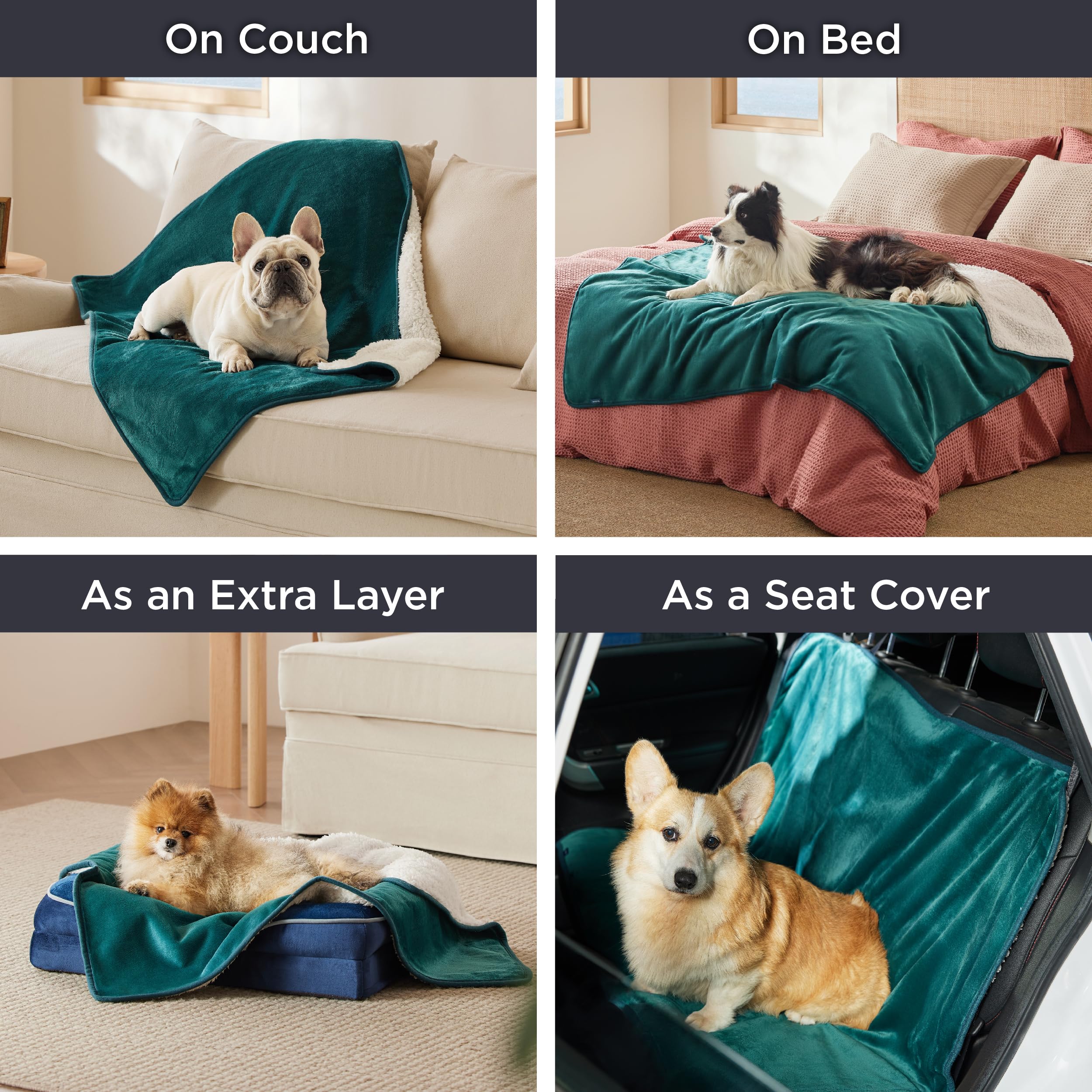 Snapklik.com : Bedsure Cat Blanket For Indoor Cats - Waterproof Calming ...