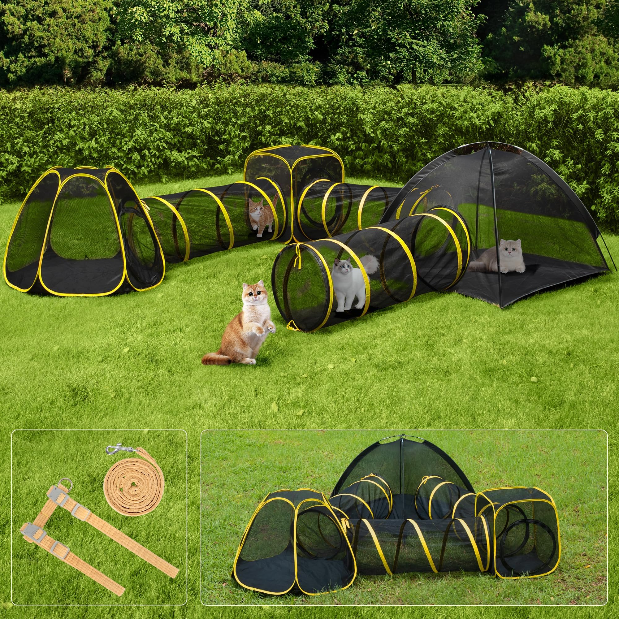 Amazon.com : 5 in 1 Compound Pet Play House - 4 Tents (Square/Hexagon ...
