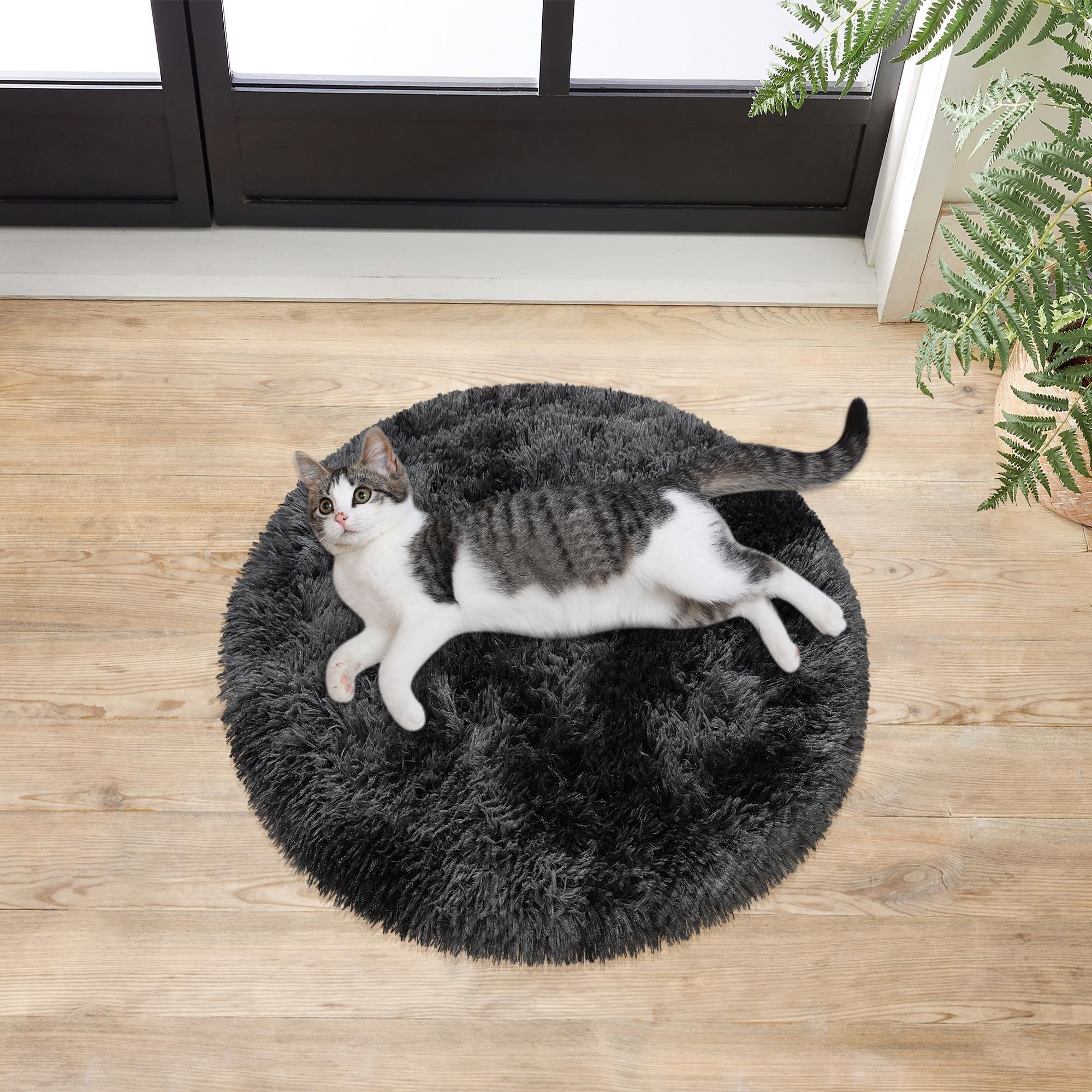 Amazon.com: Fixseed Small Rug for Bedroom Grey Circle Rug 2x2Ft Shag ...