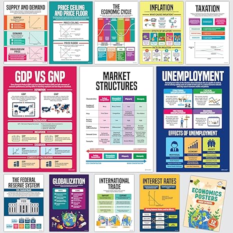 Amazon.com : Decorably 12 Economics Posters for High School Classroom ...