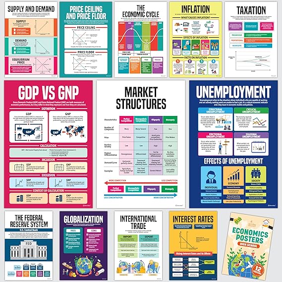Amazon.com : Decorably 12 Economics Posters for High School Classroom ...