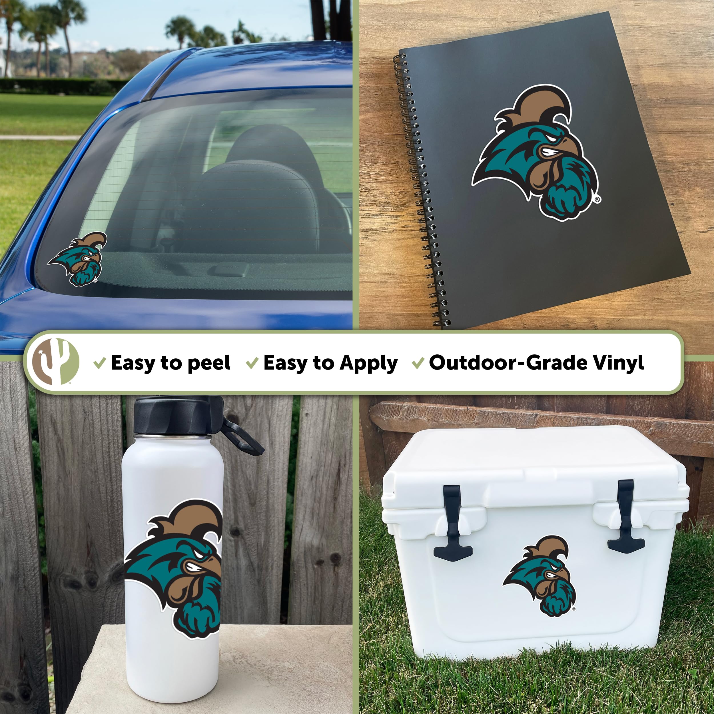 College Decal Coastal Carolina University CCU Chanticleers NCAA Decal ...