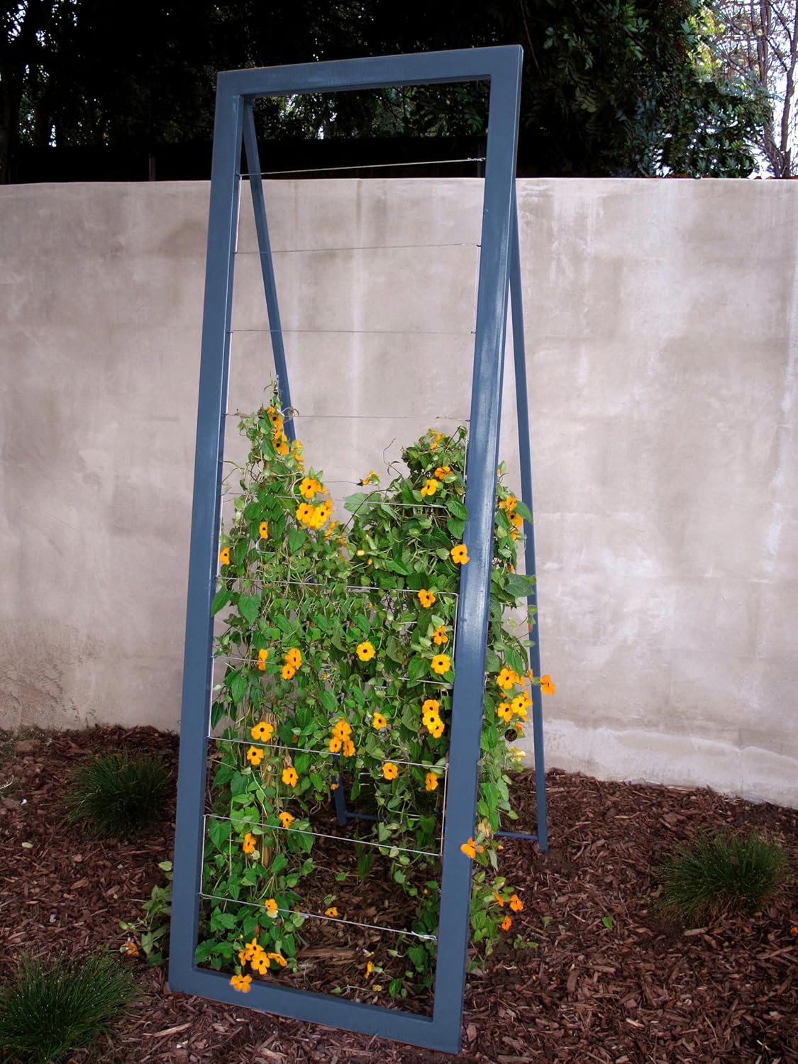 Amazon.com : Mira Garden Trellis Large (Azul/Blue) - Terra Trellis ...