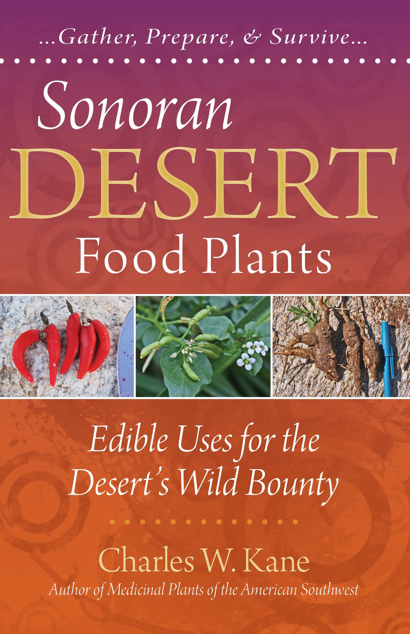 Sonoran Desert Food Plants: Edible Uses for the Desert's Wild Bounty ...