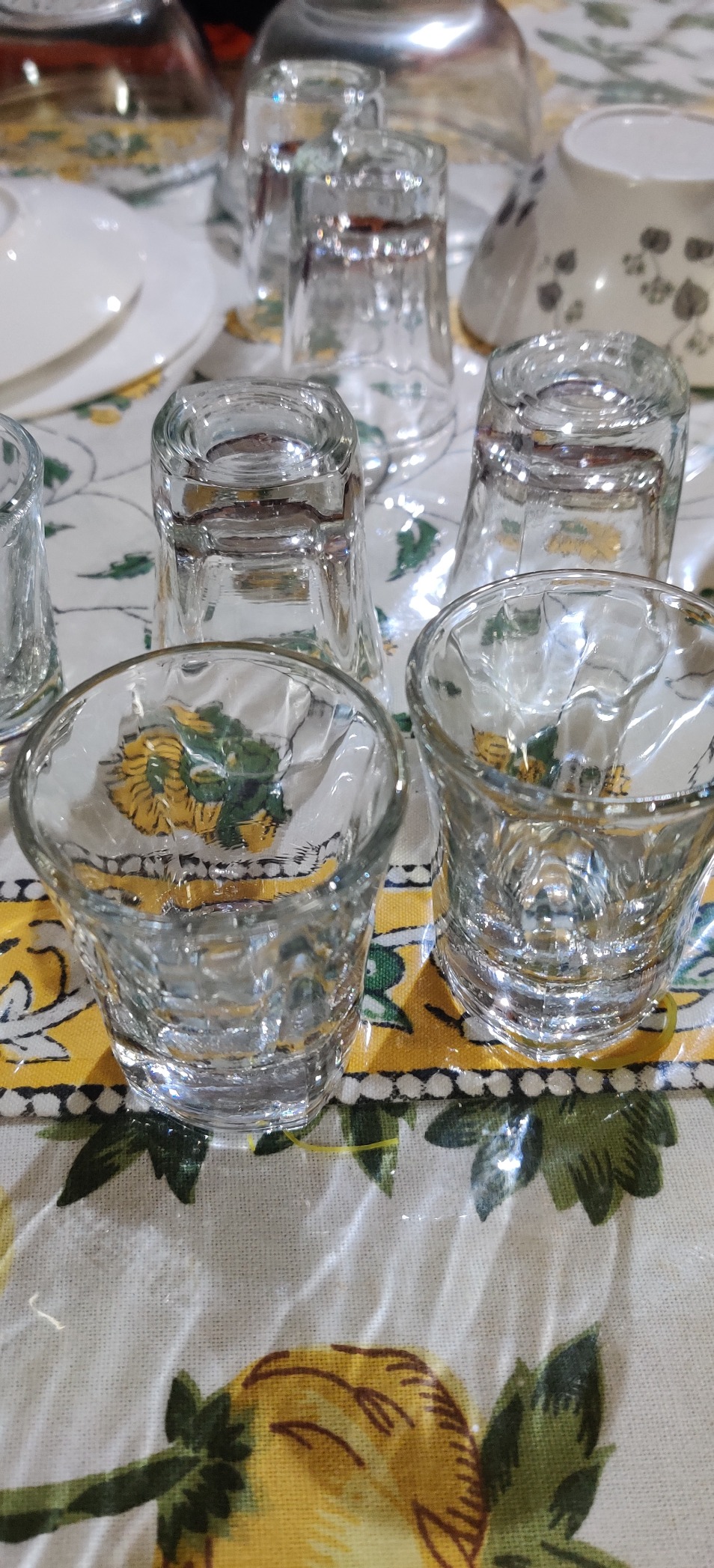 Buy Ocean Solo Shot Glass Set of 12, 60 ml, Clear Soda Lime Glass ...