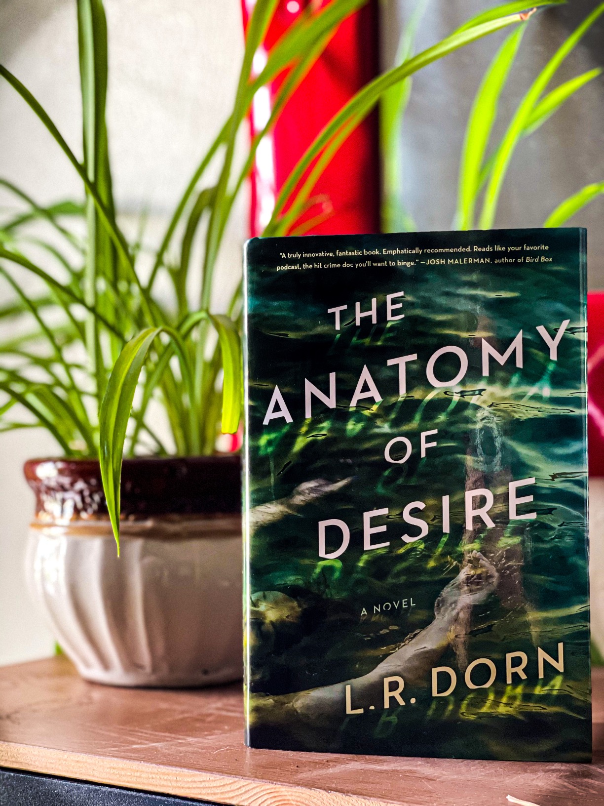 Amazon.com: The Anatomy of Desire: A Novel: 9780063041929: Dorn, L. R ...