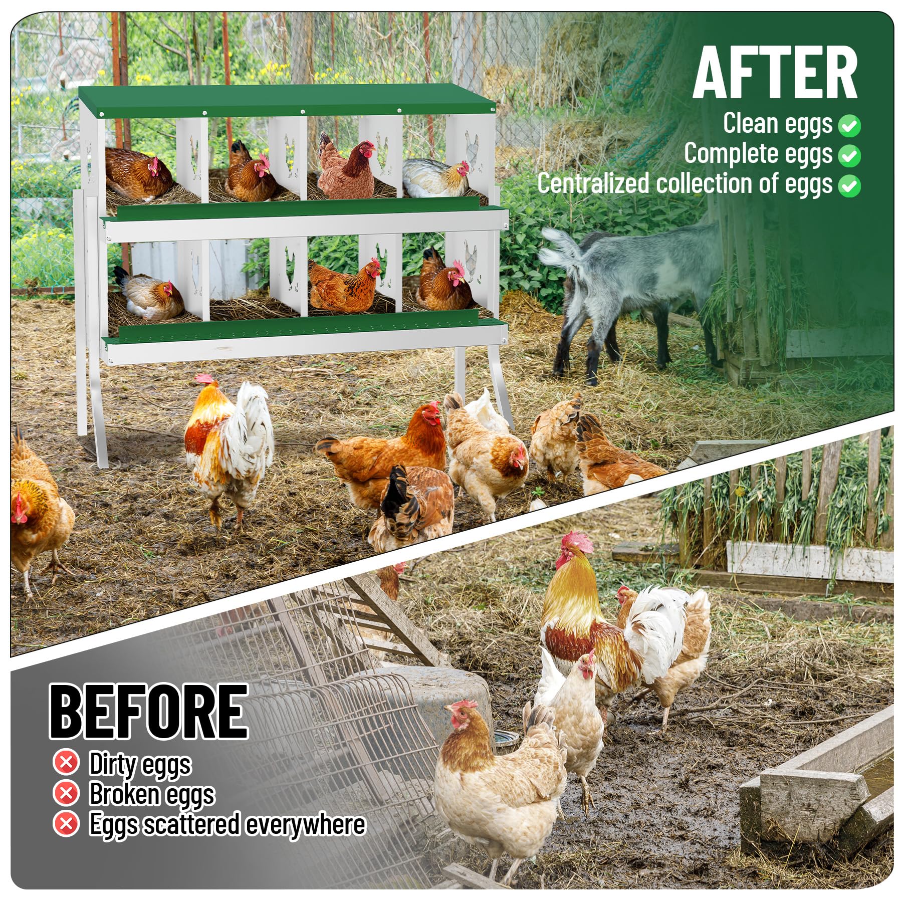 Snapklik.com : Chicken Nesting Box, 8 Compartment Metal Chicken Nesting ...