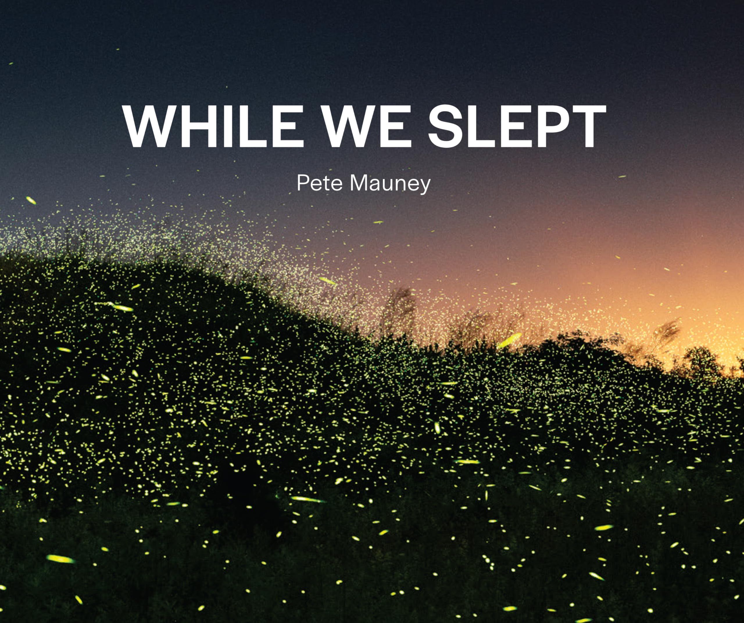 Amazon.com: While We Slept: 9781961856141: Mauney, Pete, Davis, Tim ...