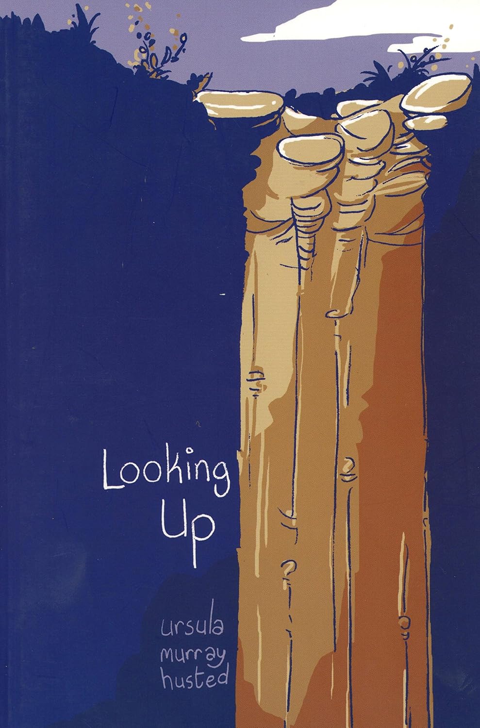 Looking Up: A Love Story Between a Man, a Woman, and a Bottomless Pit ...