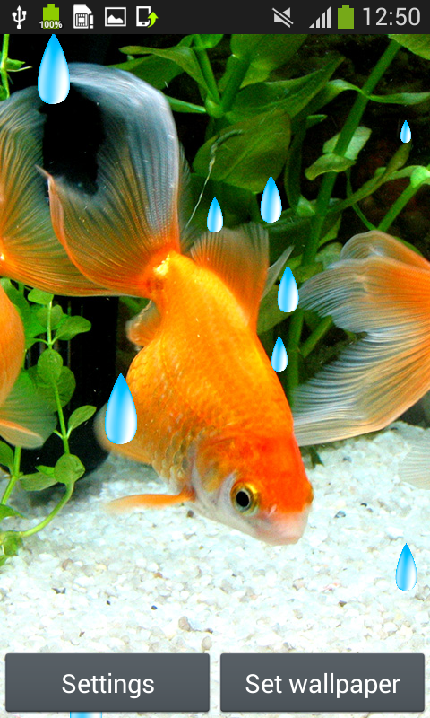 Animated Aquarium Wallpaper For Mobile Android Giveaway Of The Day