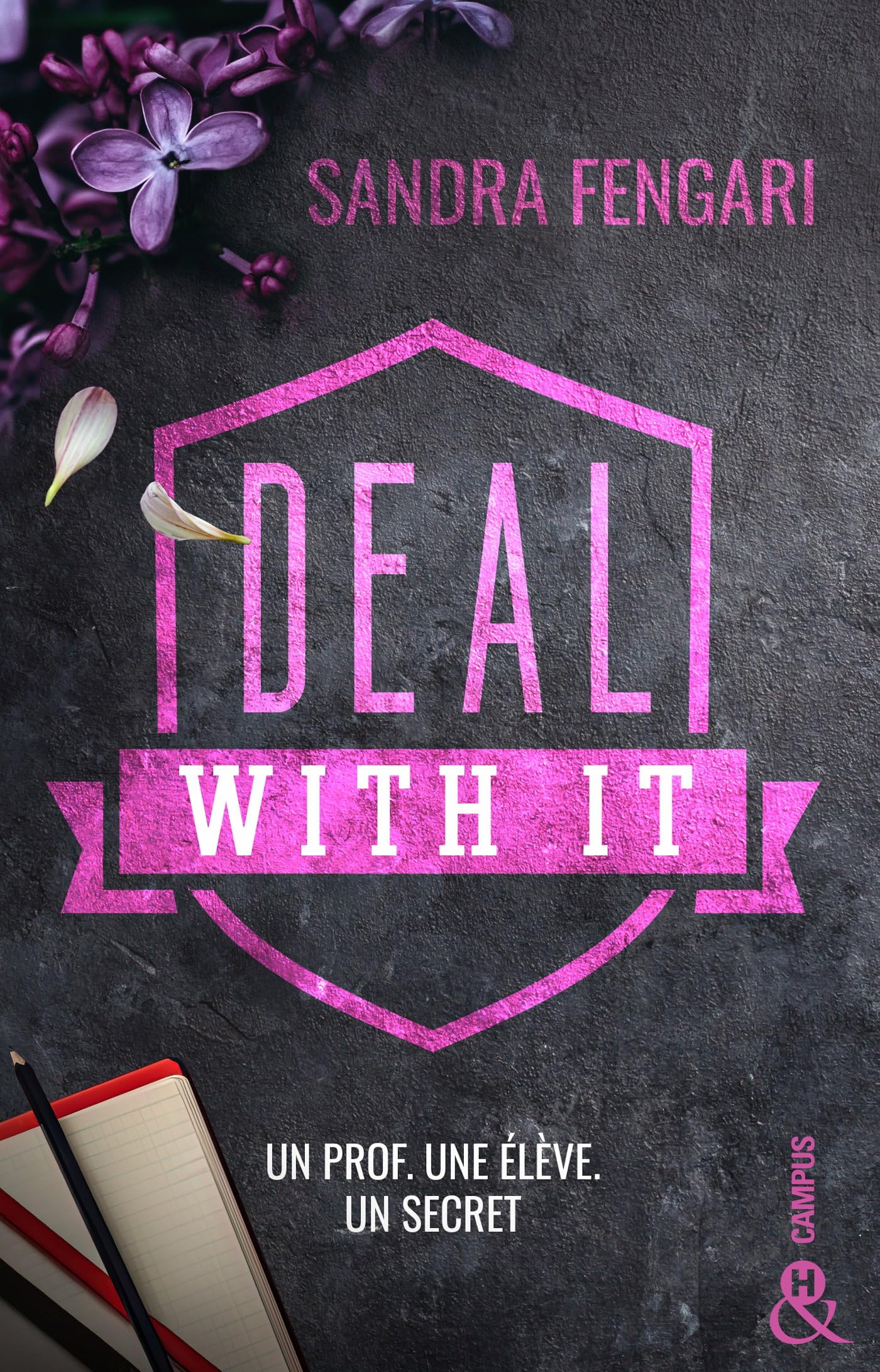 Deal With It: Un prof. Une élève. Un secret : Fengari, Sandra: Amazon.fr: Livres