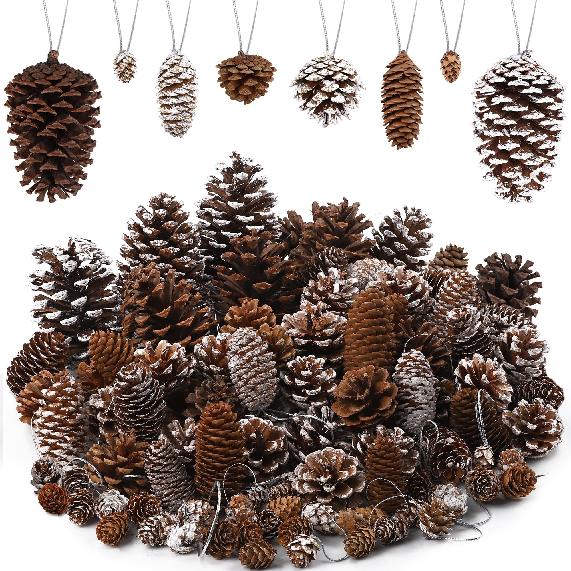 Amazon.com: Fovths 66 Pieces Christmas Pine Cones Ornaments with String ...