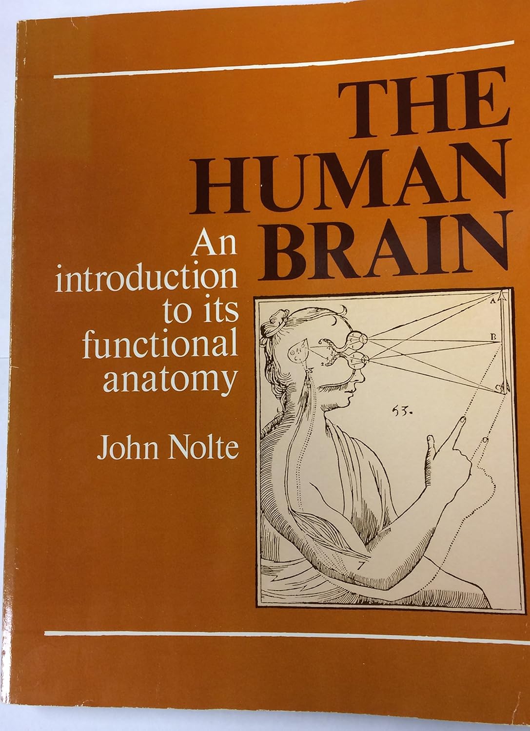 The human brain : an introduction to its functional anatomy ...