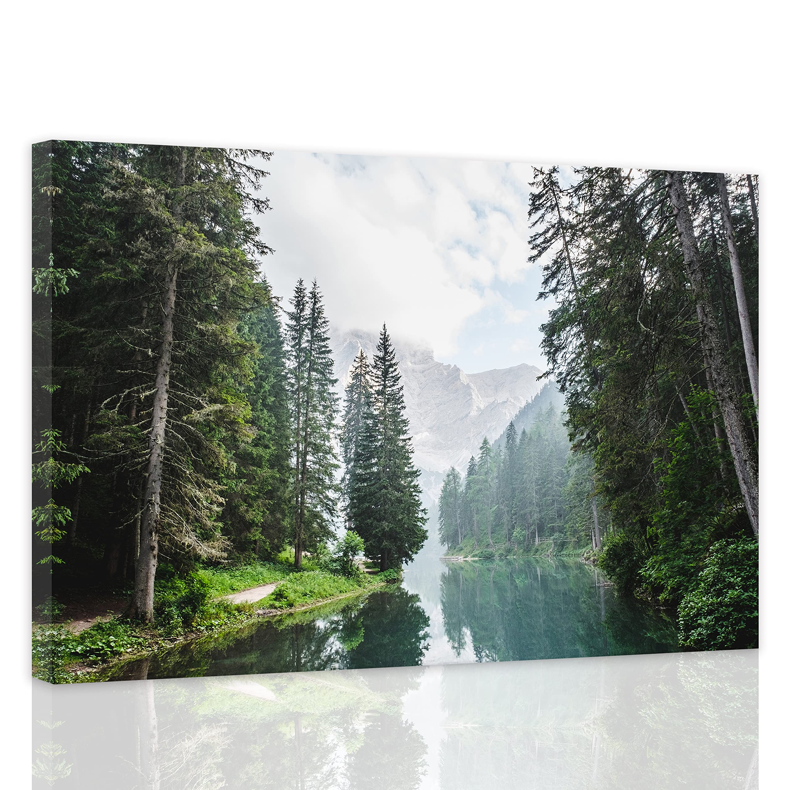 Reflejo Del Bosque Verde De La Naturaleza Paisaje De Verano A Orillas