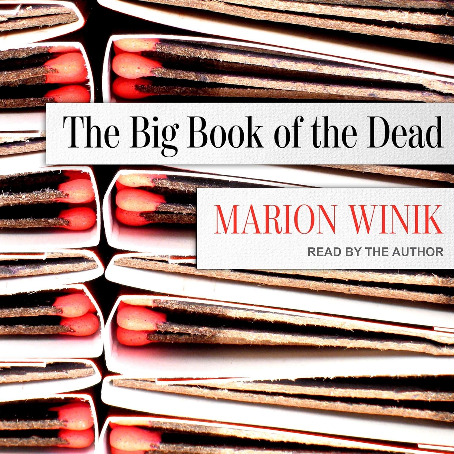 Amazon.com: The Big Book of the Dead: 9781665206464: Marion Winik: Books