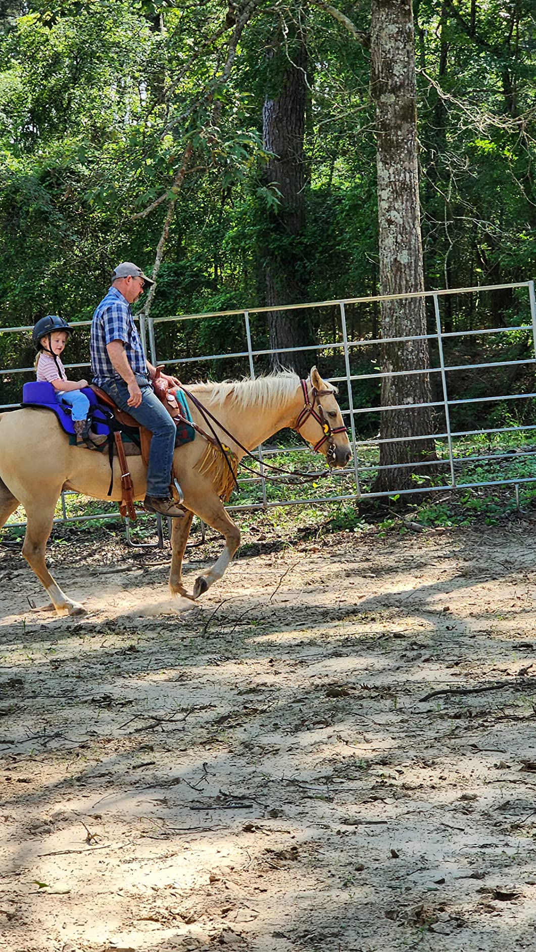 $15/mo - Finance HILASON Western Horse Saddle Buddy Seat for Kids ...