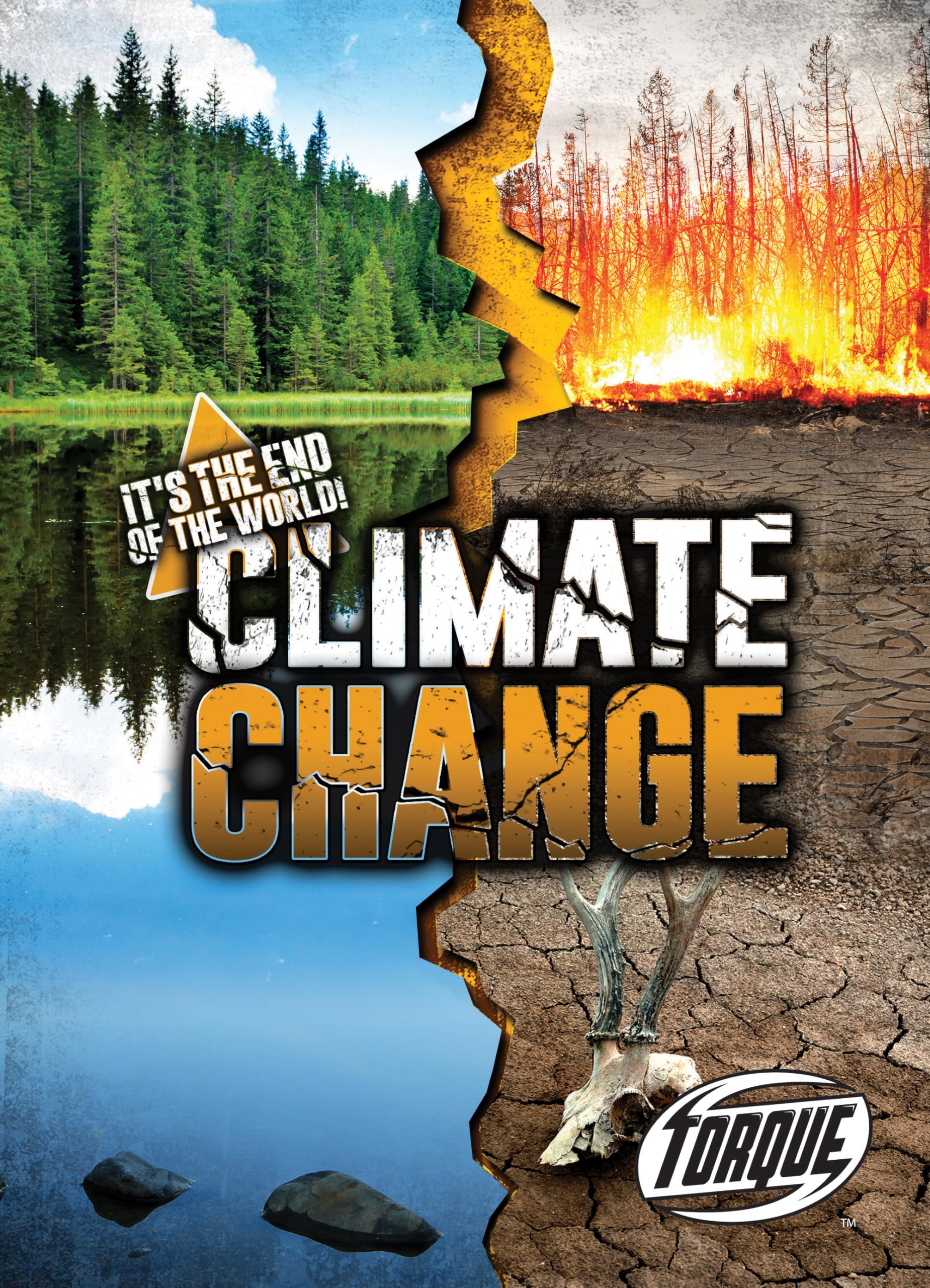 Climate Change (It's the End of the World!): Lisa Owings: 9781644870808 ...