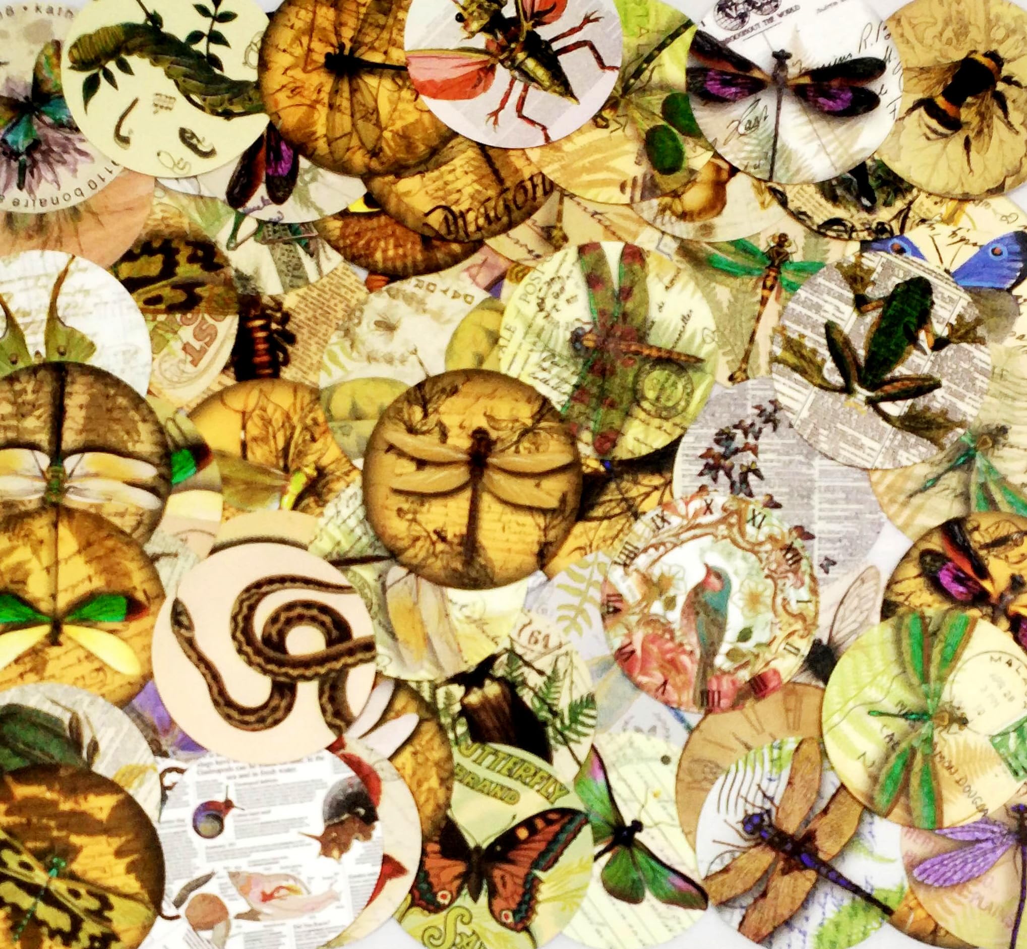 Amazon.com: 50 Pcs Aesthetic Vintage Insects Bugs Stickers for Kids ...