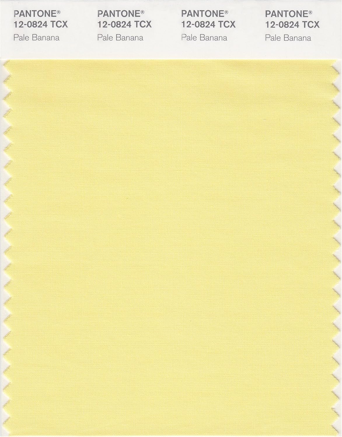 Amazon.com: PANTONE SMART 12-0824X Color Swatch Card, Pale Banana ...