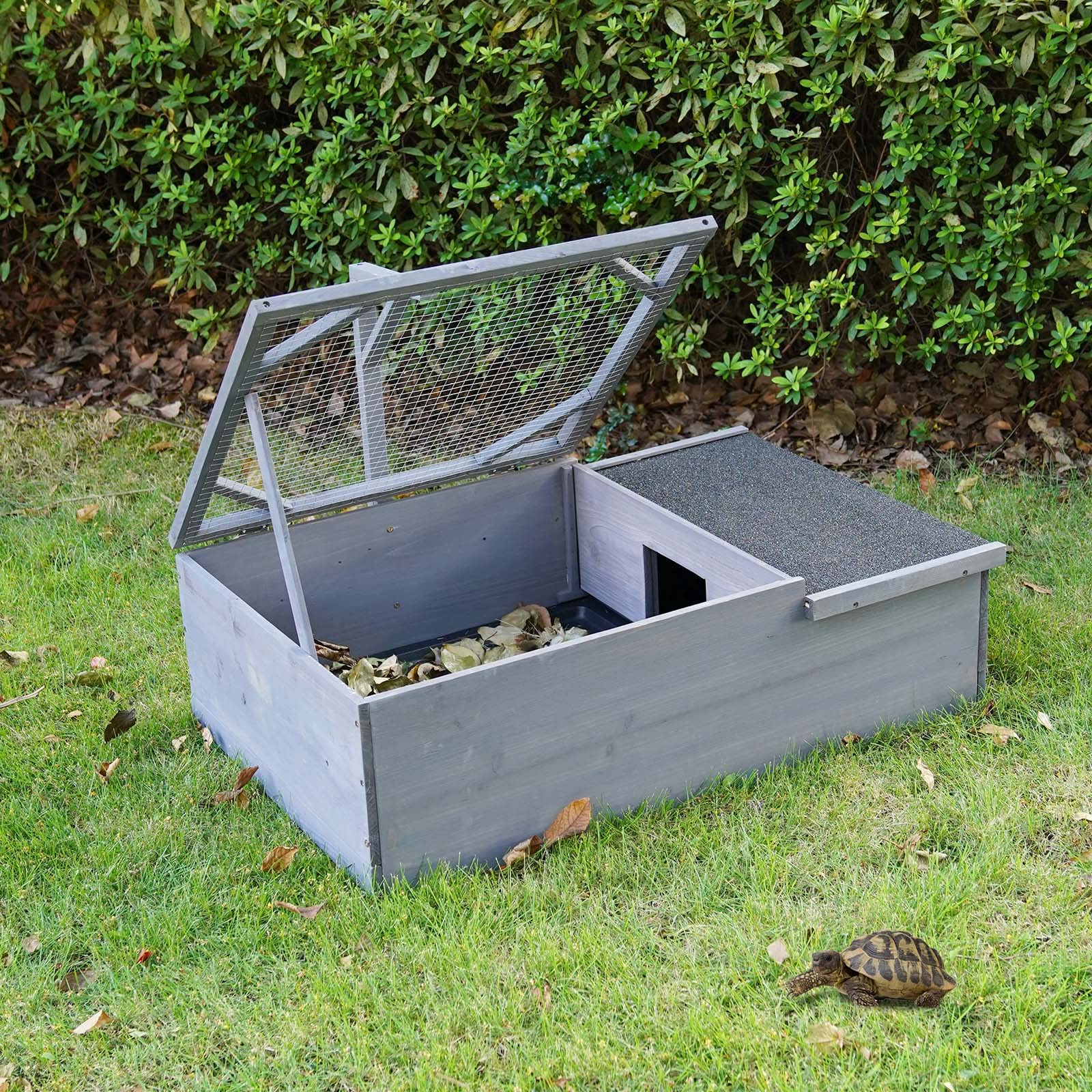Russian Tortoise Habitat
