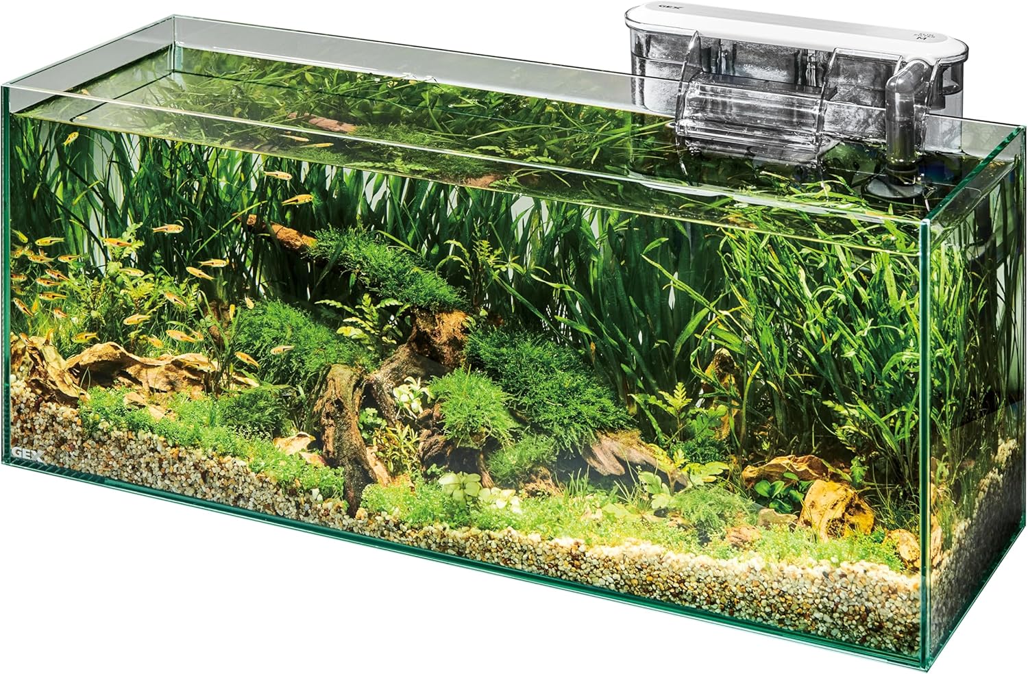 GEX Gex Glass Terrier Slim 600 6-Piece Set, DC Pump, Frameless Aquarium, W 23.6 x D 7.9 x H 9.8 ...