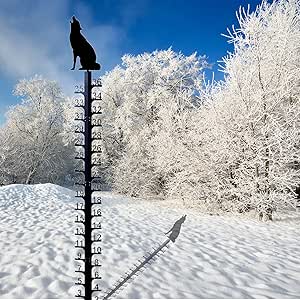 Amazon.com : 36In Snow Gauge Outdoor Rain Gauge Metal Rulers Iron ...