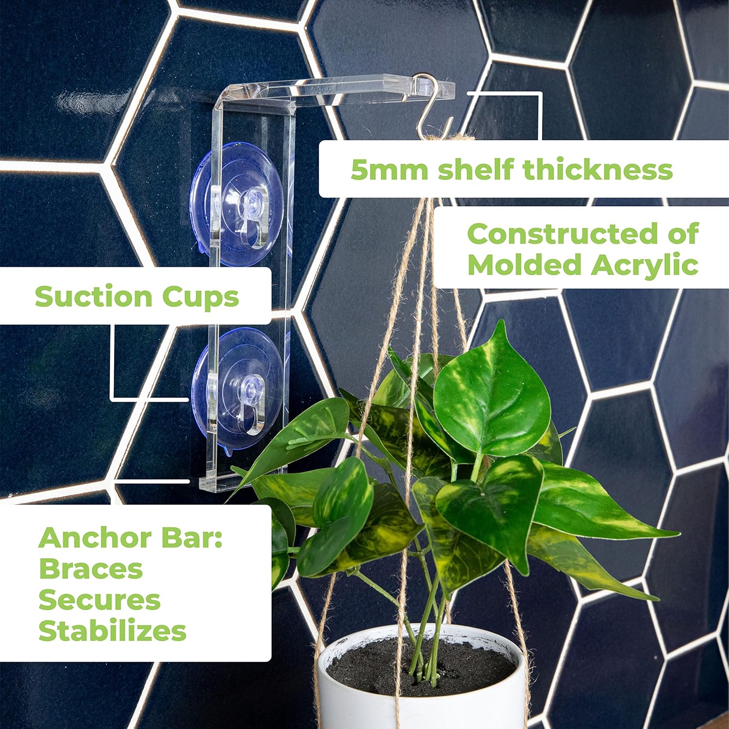 Veg Dangler Suction Cup Window Hanger Multi Pack – Bird Feeder Holder ...