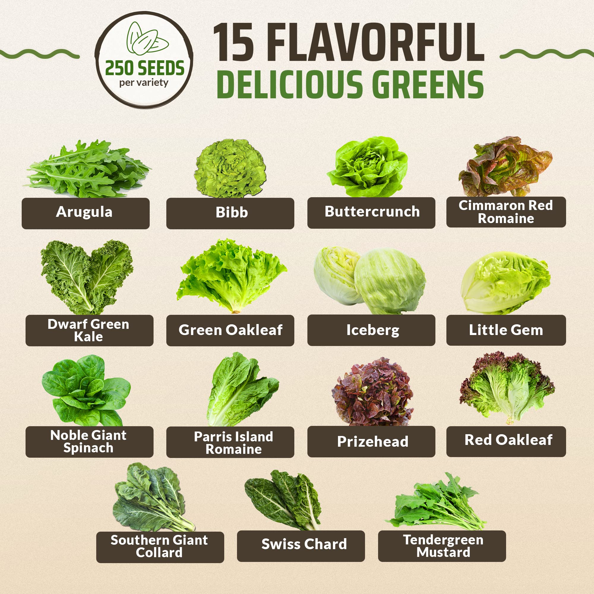 Lettuce Varieties List