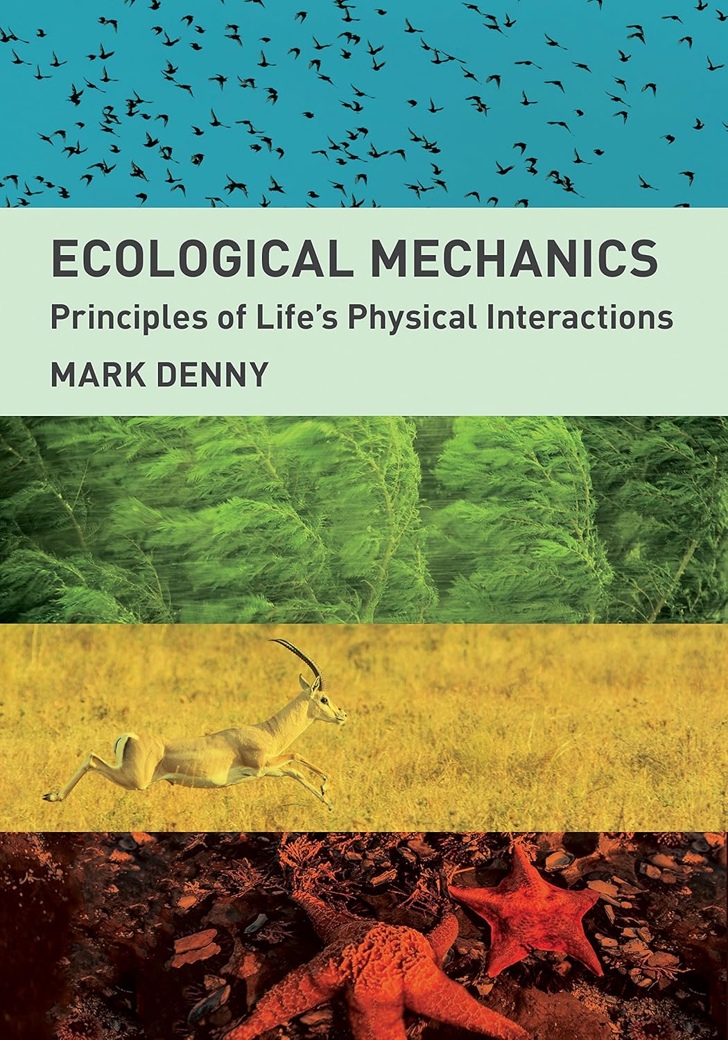 Ecological Mechanics Principles Of Life s Physical Interactions EBook ecological-mechanics-principles-of-life-s-physical-interactions-ebook