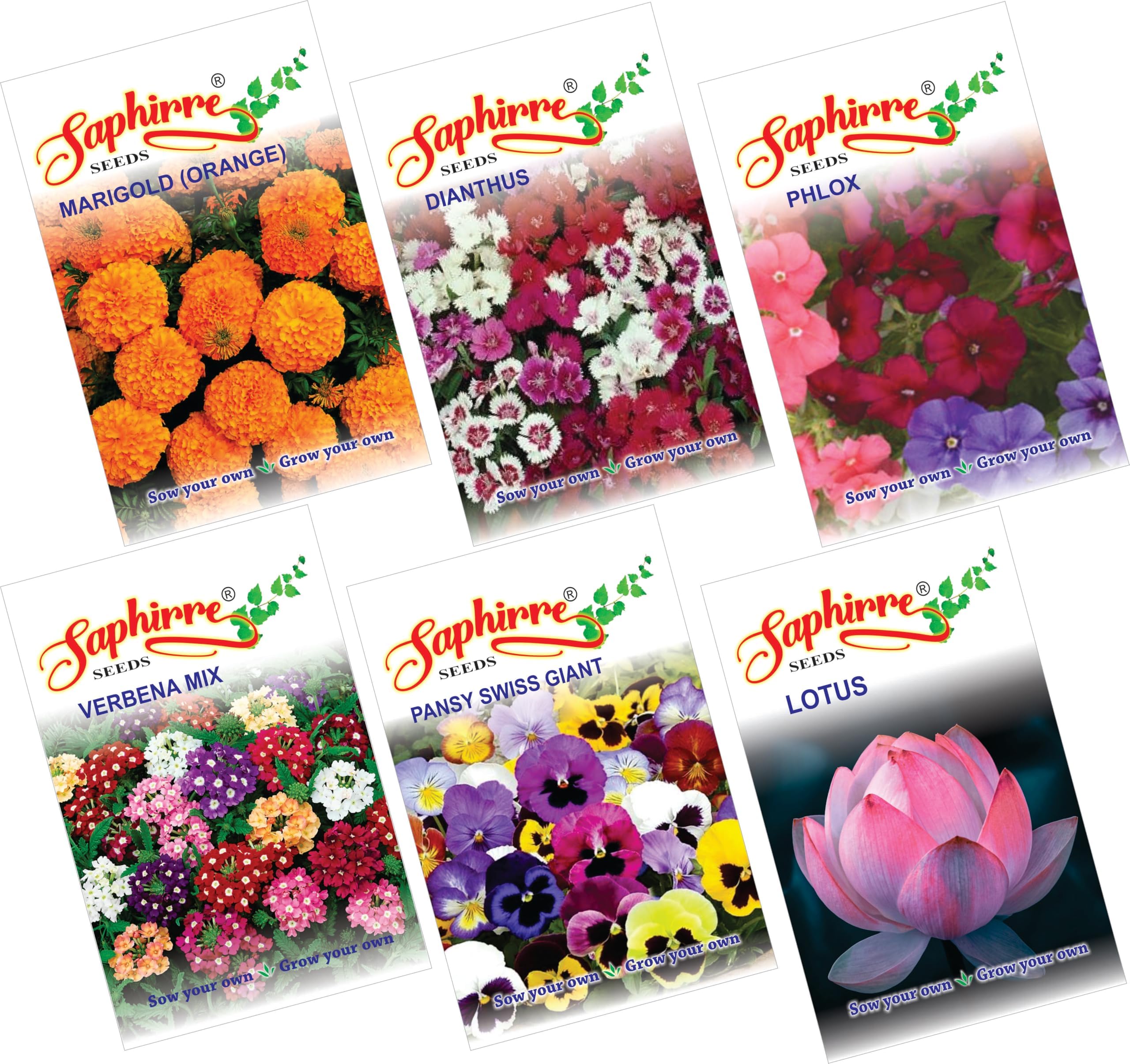 Kraft Seeds by 10CLUB Fresh Garden Flower Seeds (15 Packets, Mix Approx ...