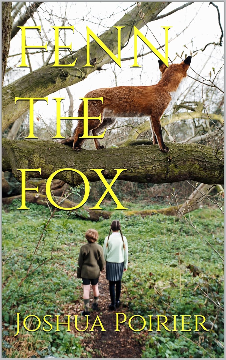 Fenn the fox eBook : Poirier, Joshua: Amazon.in: Kindle Store