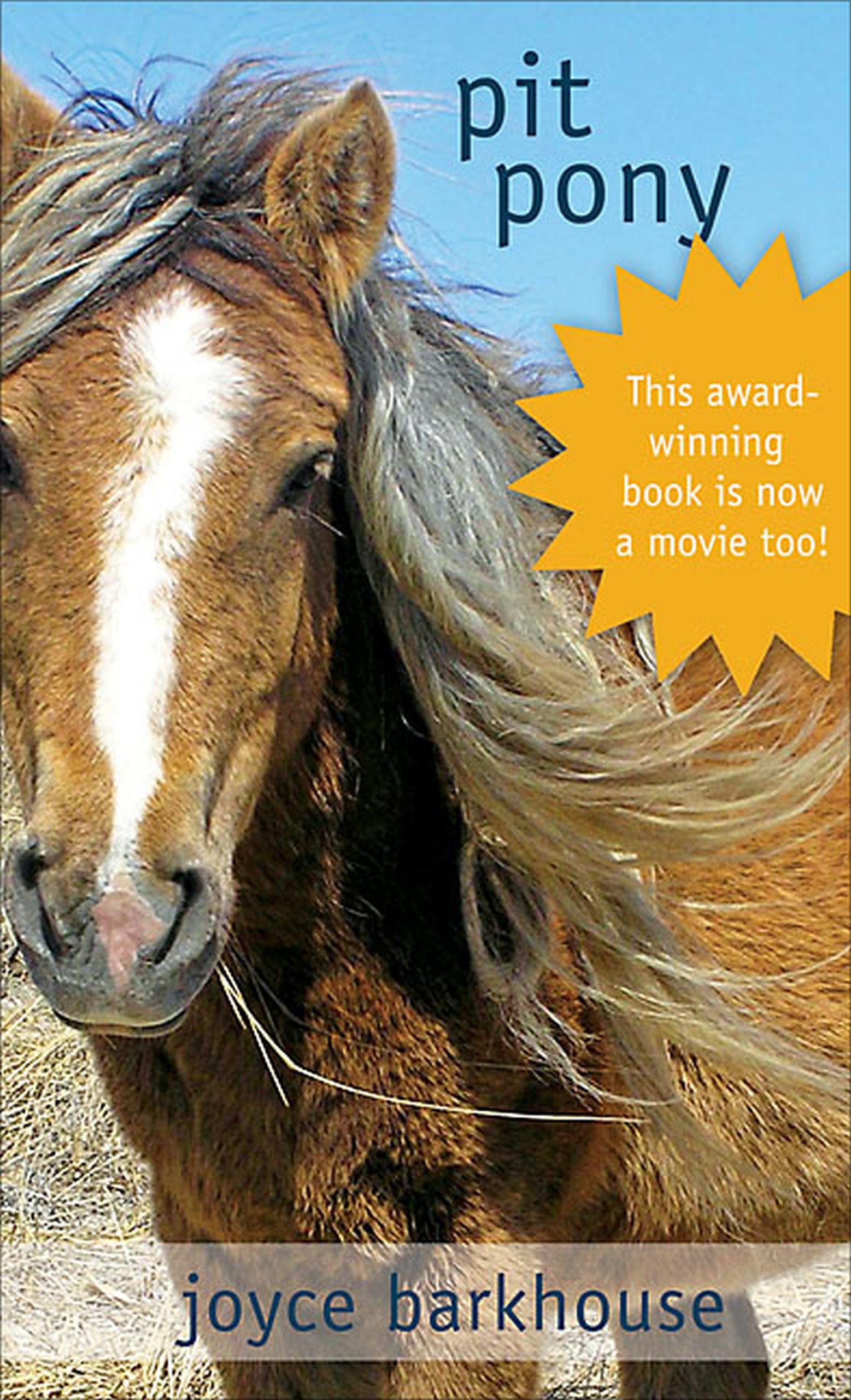 Pit Pony: Barkhouse, Joyce, Lucas, Zoe: 9780887809248: Books - Amazon.ca