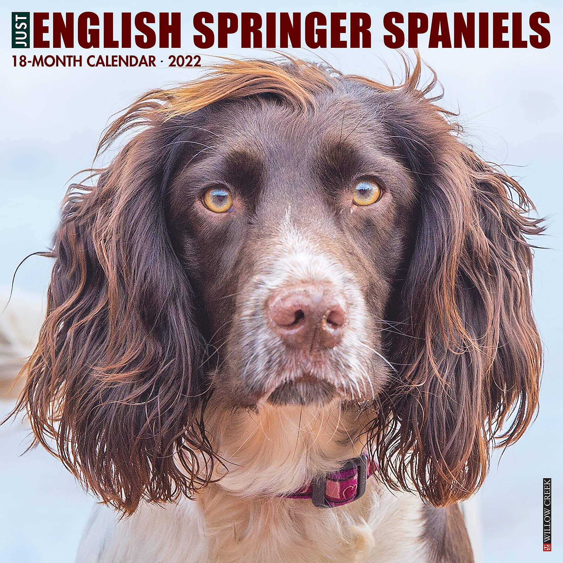 Just English Springer Spaniels 2022 Wall Calendar (Dog Breed): Willow ...