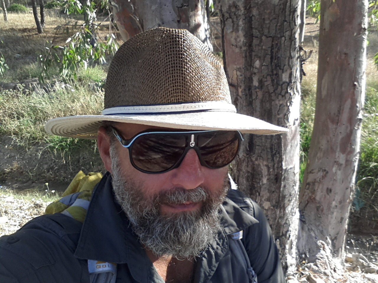 Amazon.co.uk: Mark Randall: books, biography, latest update